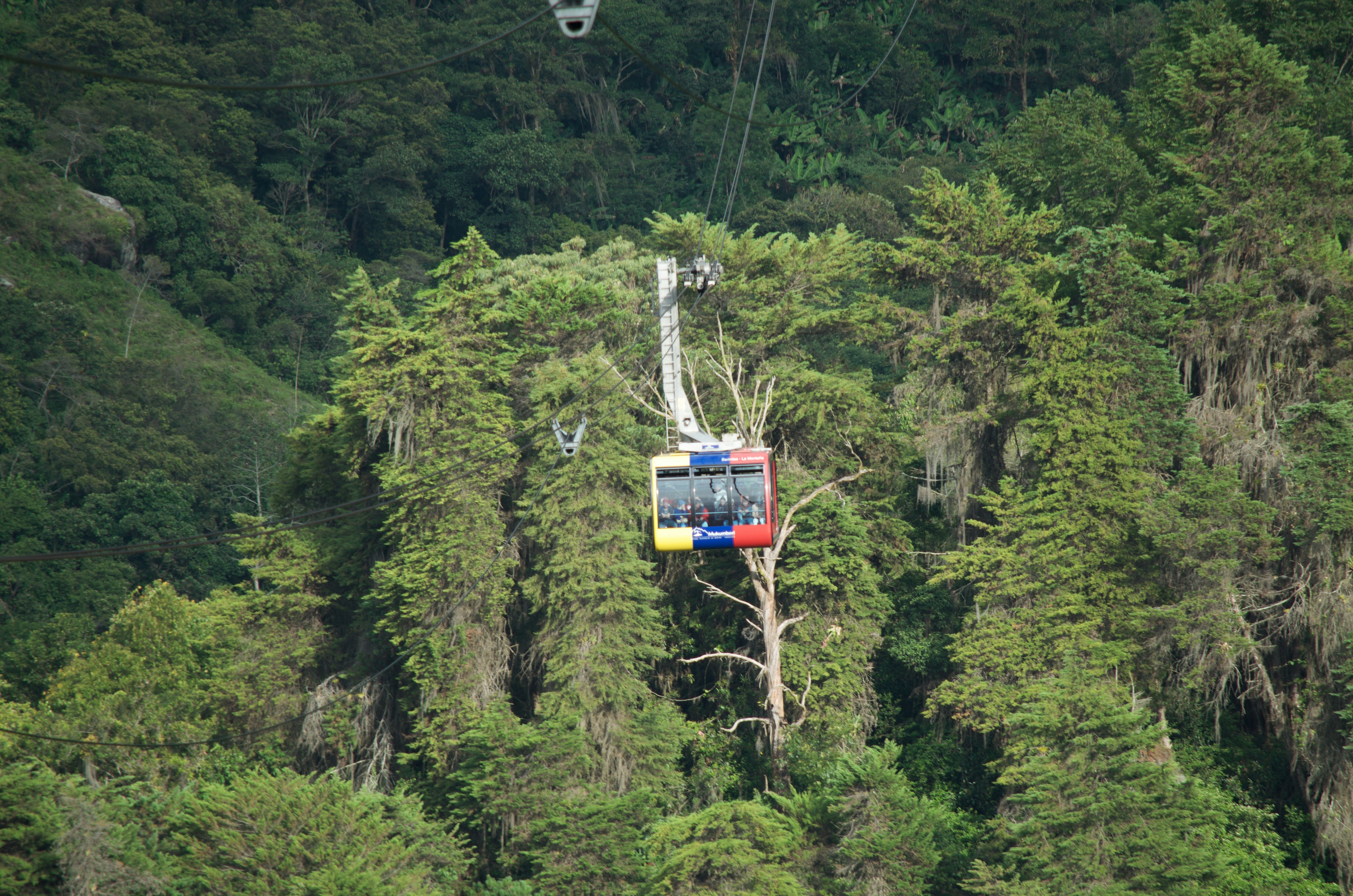 A cable car in the middle of a forest photo – Free Venezuela Image on ...