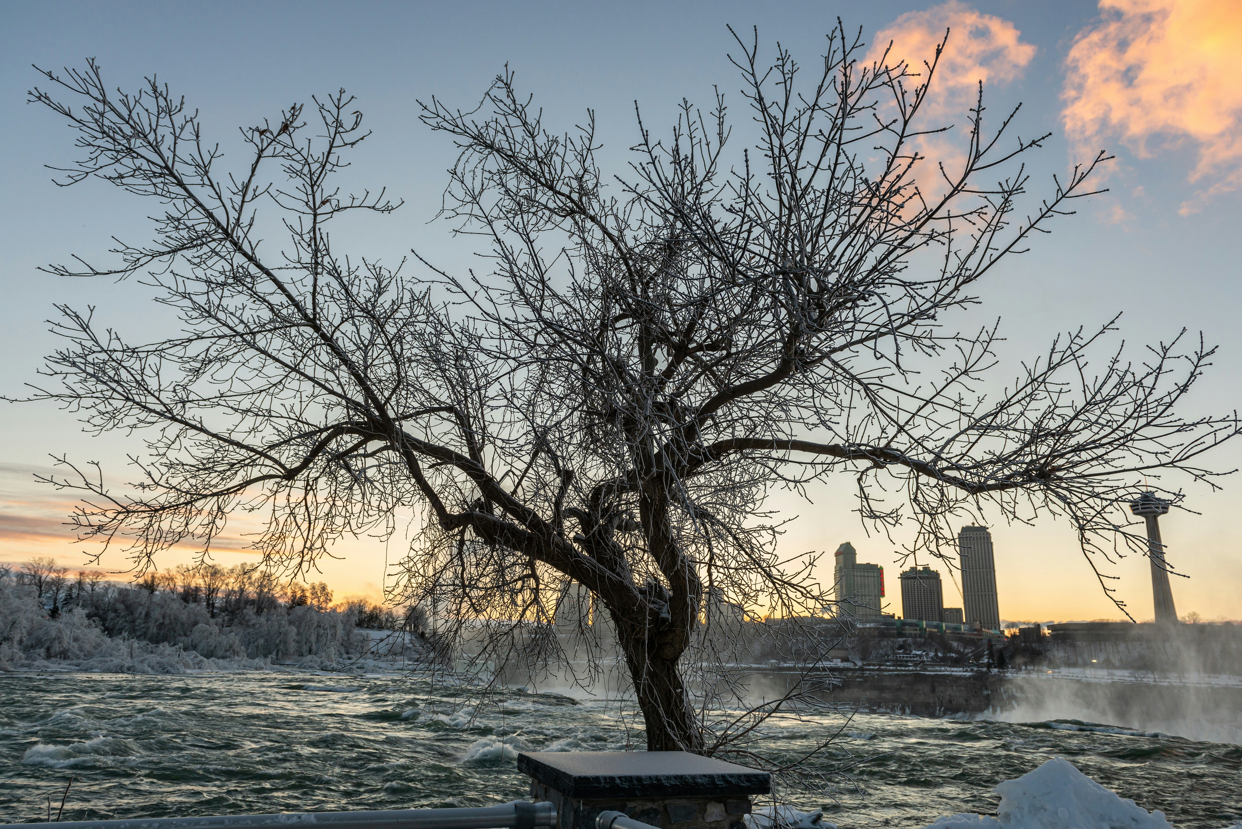 A tree in the middle of a snowy field photo – Free Niagara falls Image ...