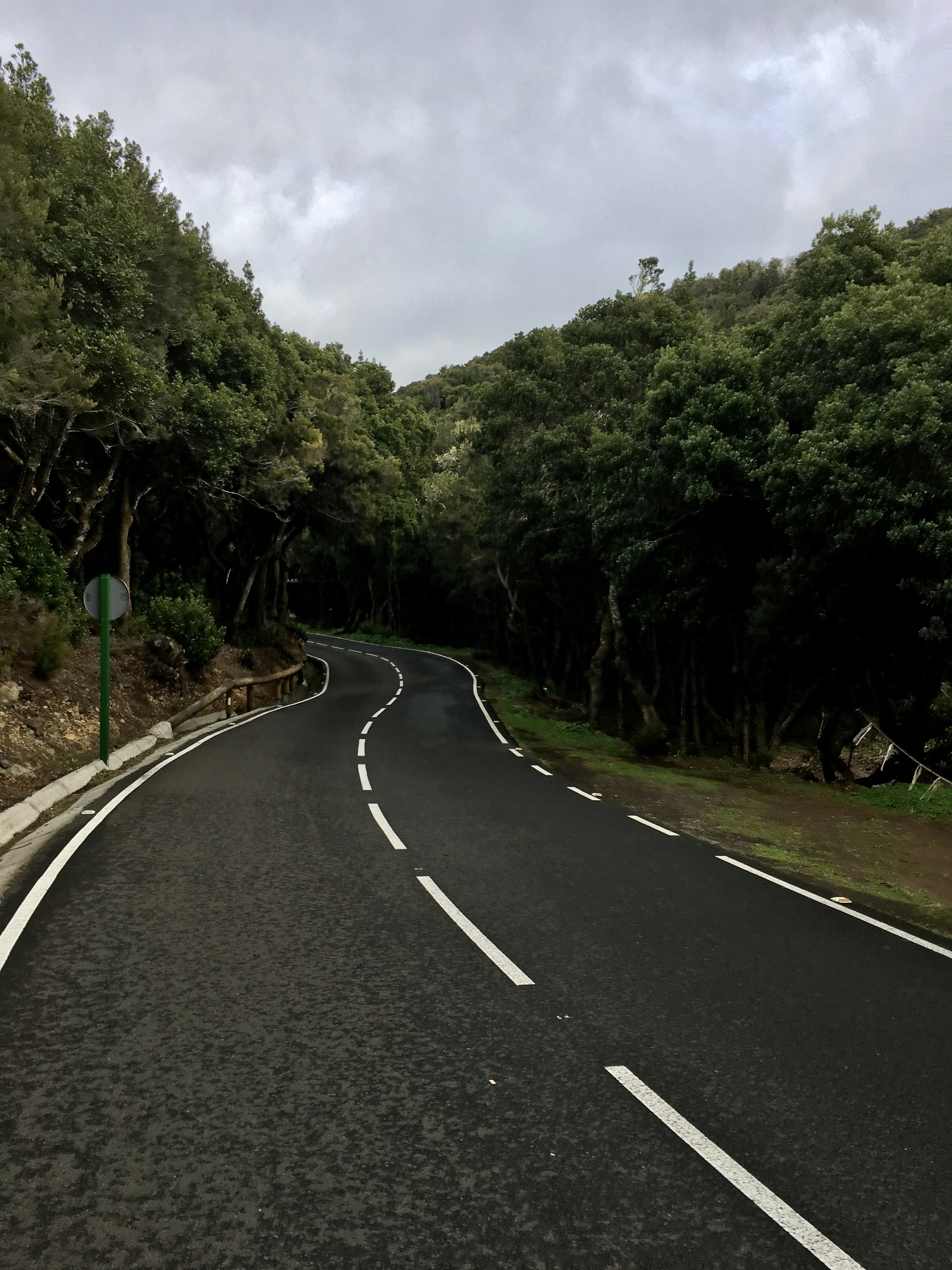 A curve in the road with trees on both sides photo – Free La gomera ...