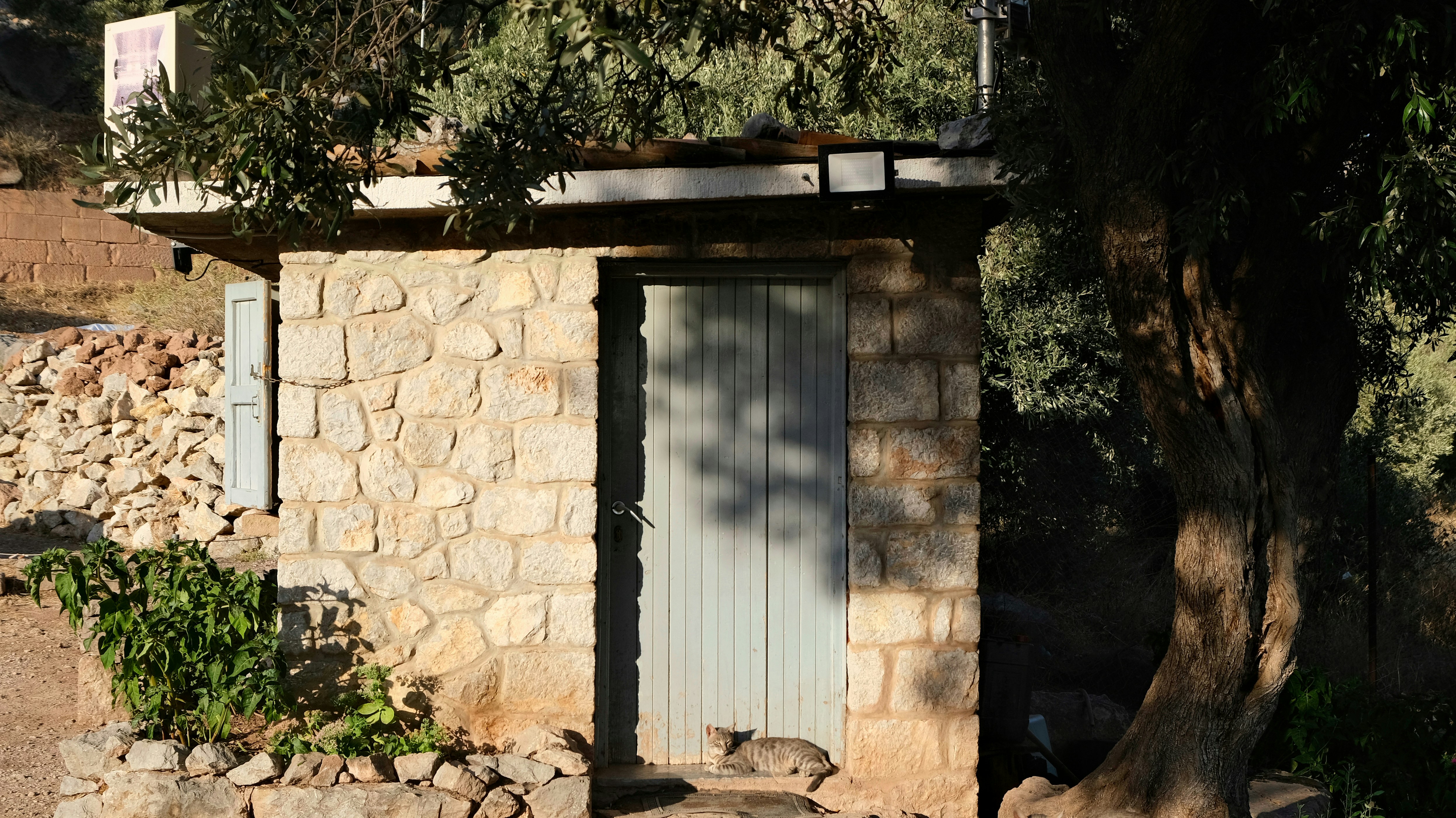Sunlit Stone Shed Doorway and the Cat at Its Threshold