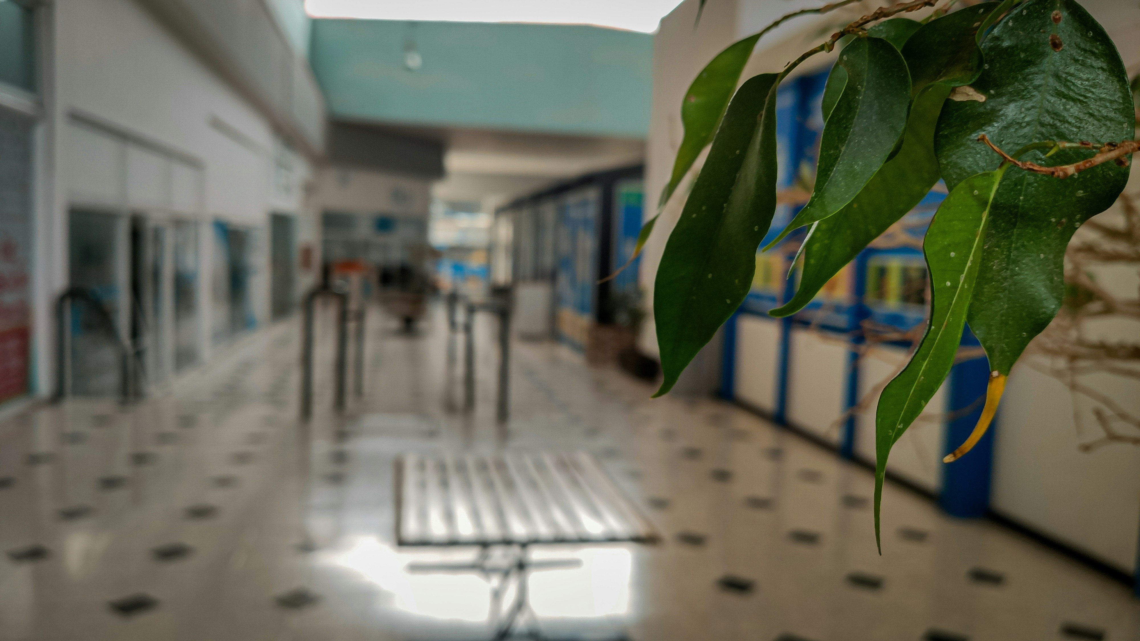 Close-up of a glossy green leaf in the foreground with a dim, tiled corridor receding into soft blur. The composition emphasizes foreground detail against a calm, empty interior.