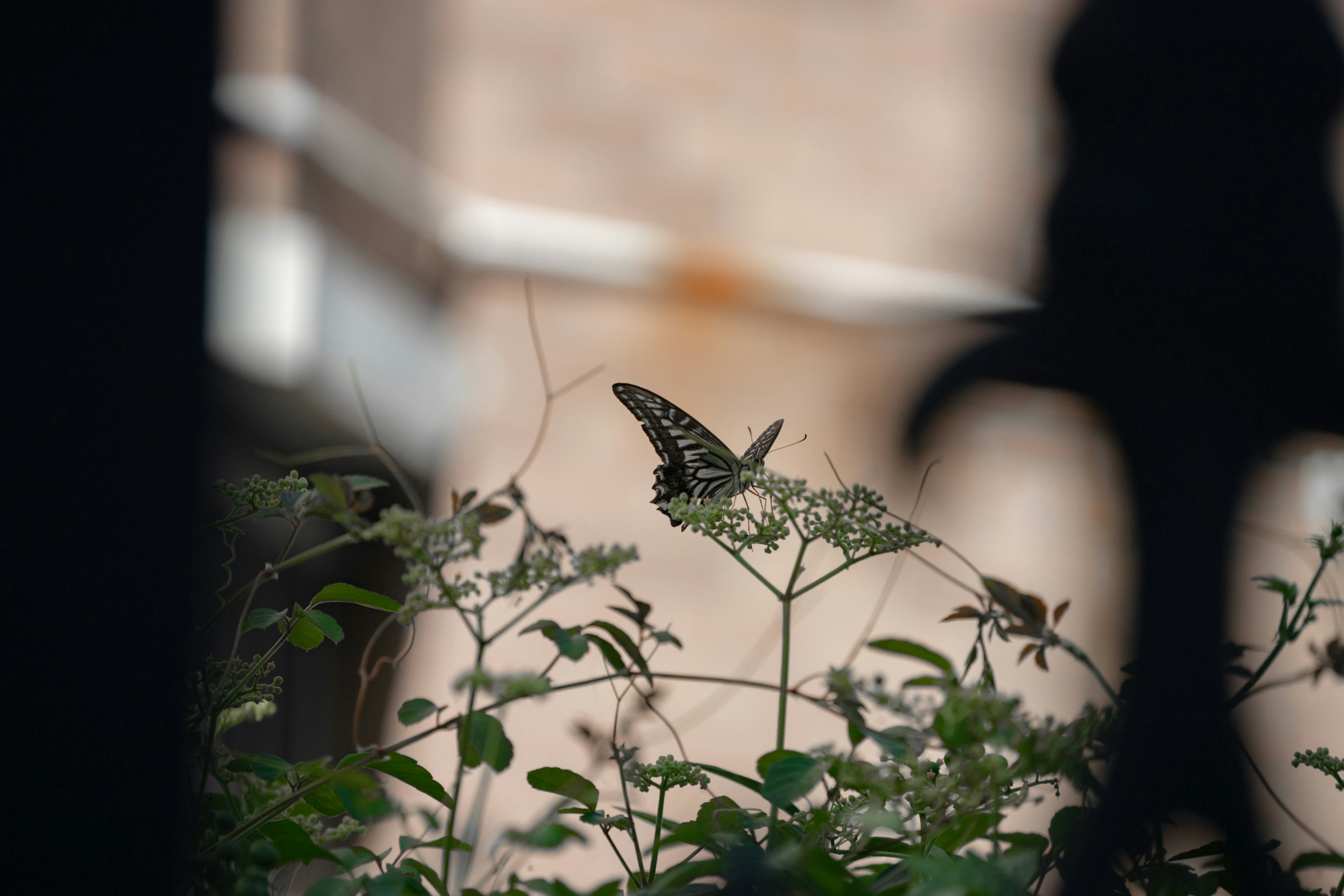 Photo by 杨 震 with Sony Alpha 7 II