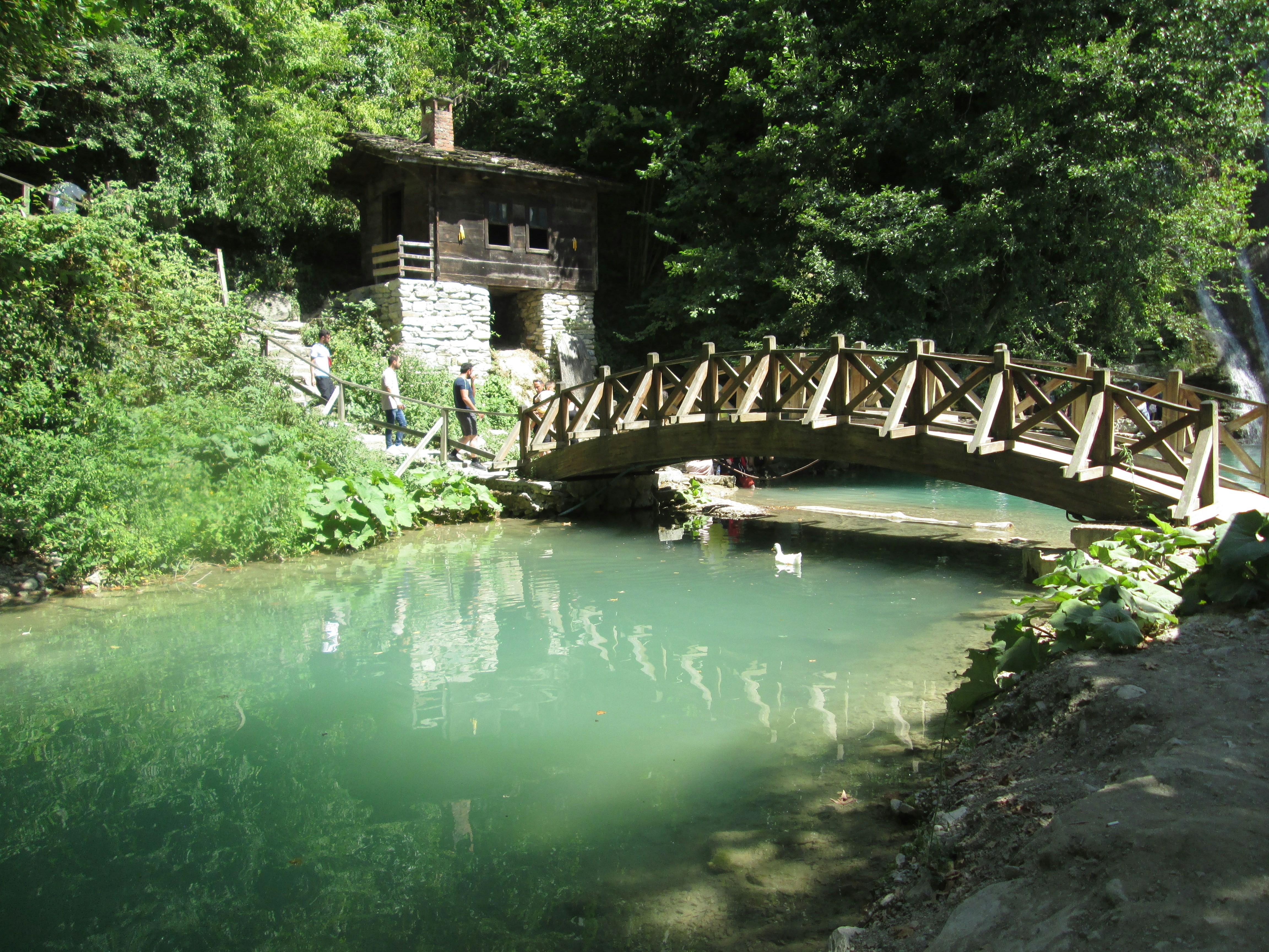 Sample photo from Canon PowerShot A810