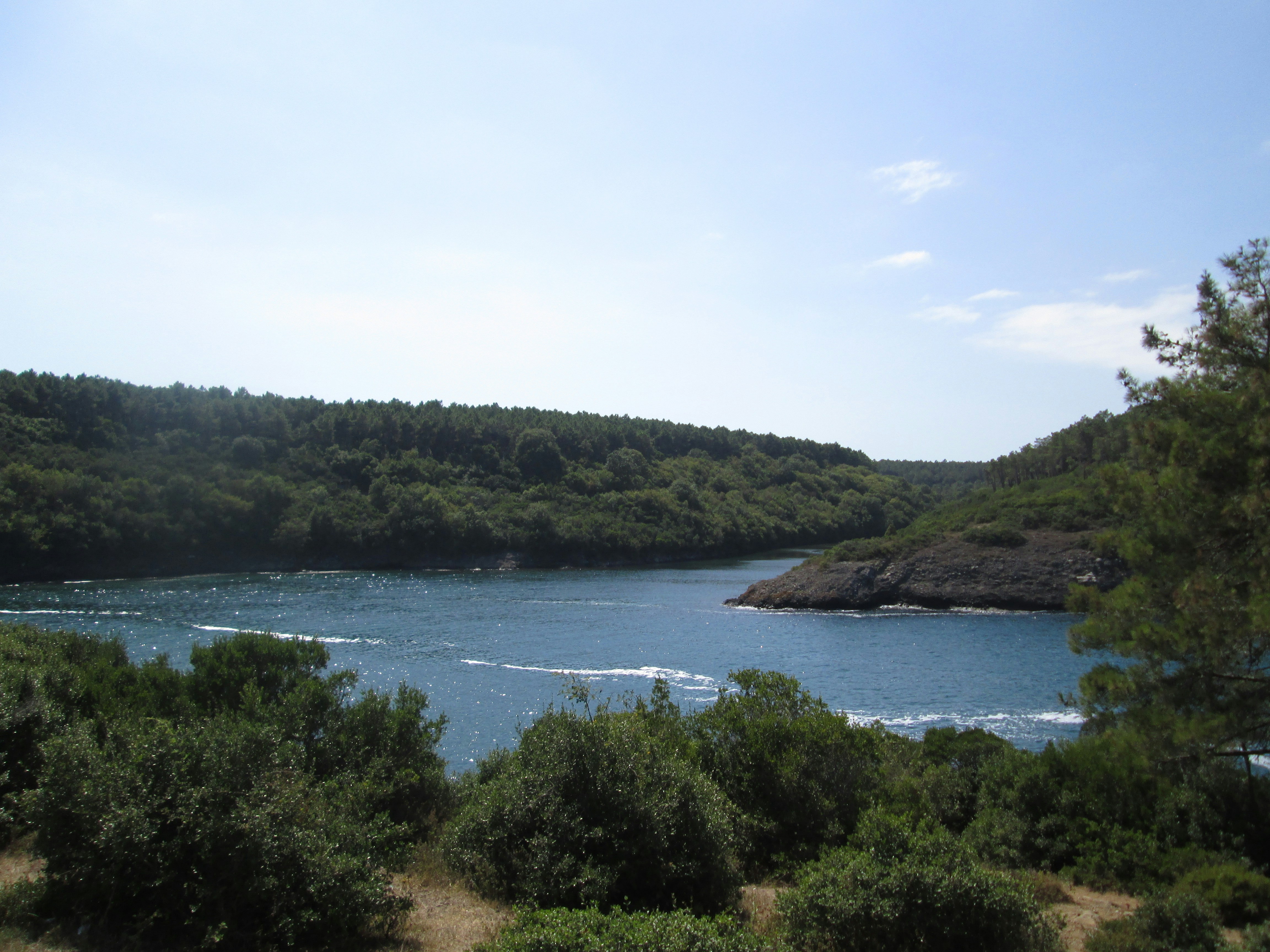 Tranquil waterway surrounded by lush greenery under a clear blue sky.