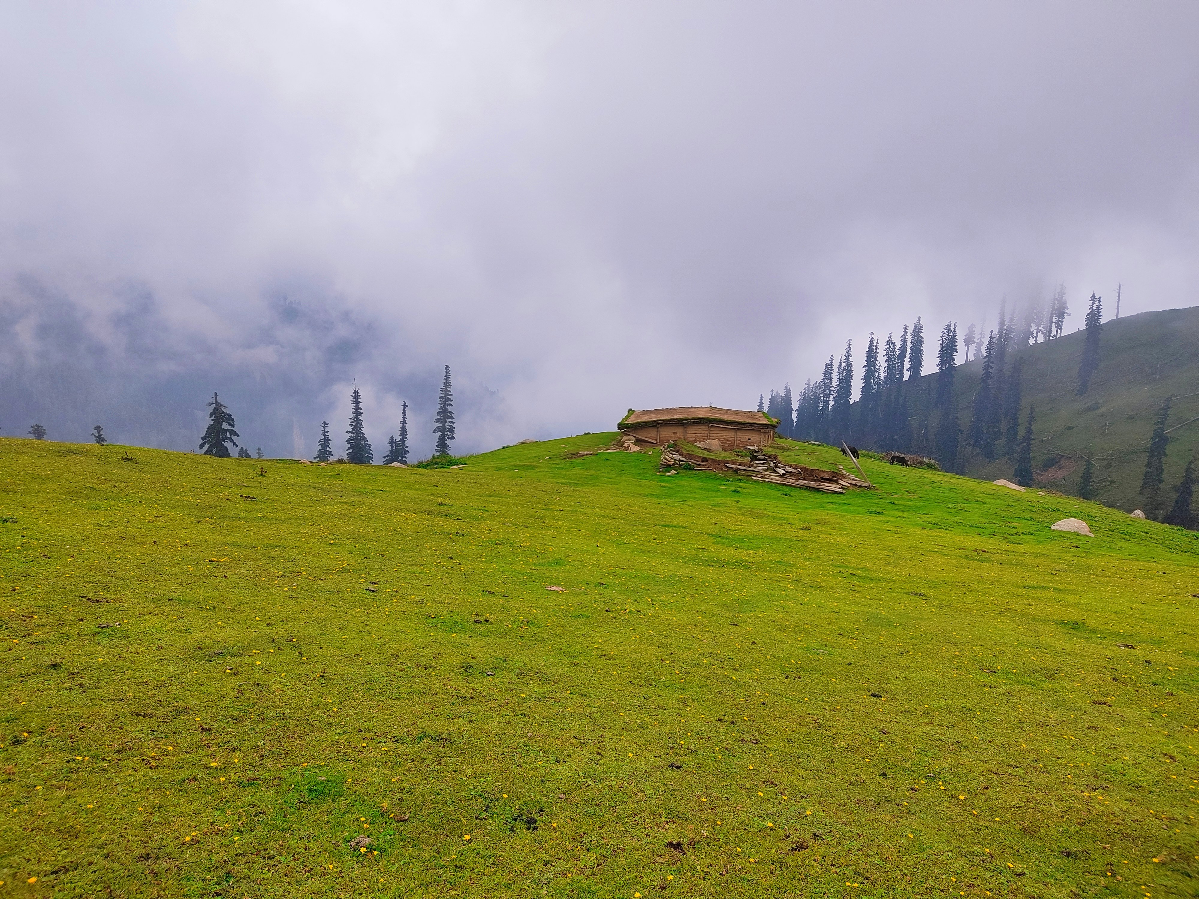 A small wooden hut rests on a verdant hillside with distant conifers. Low clouds drift, giving the scene a tranquil alpine atmosphere.