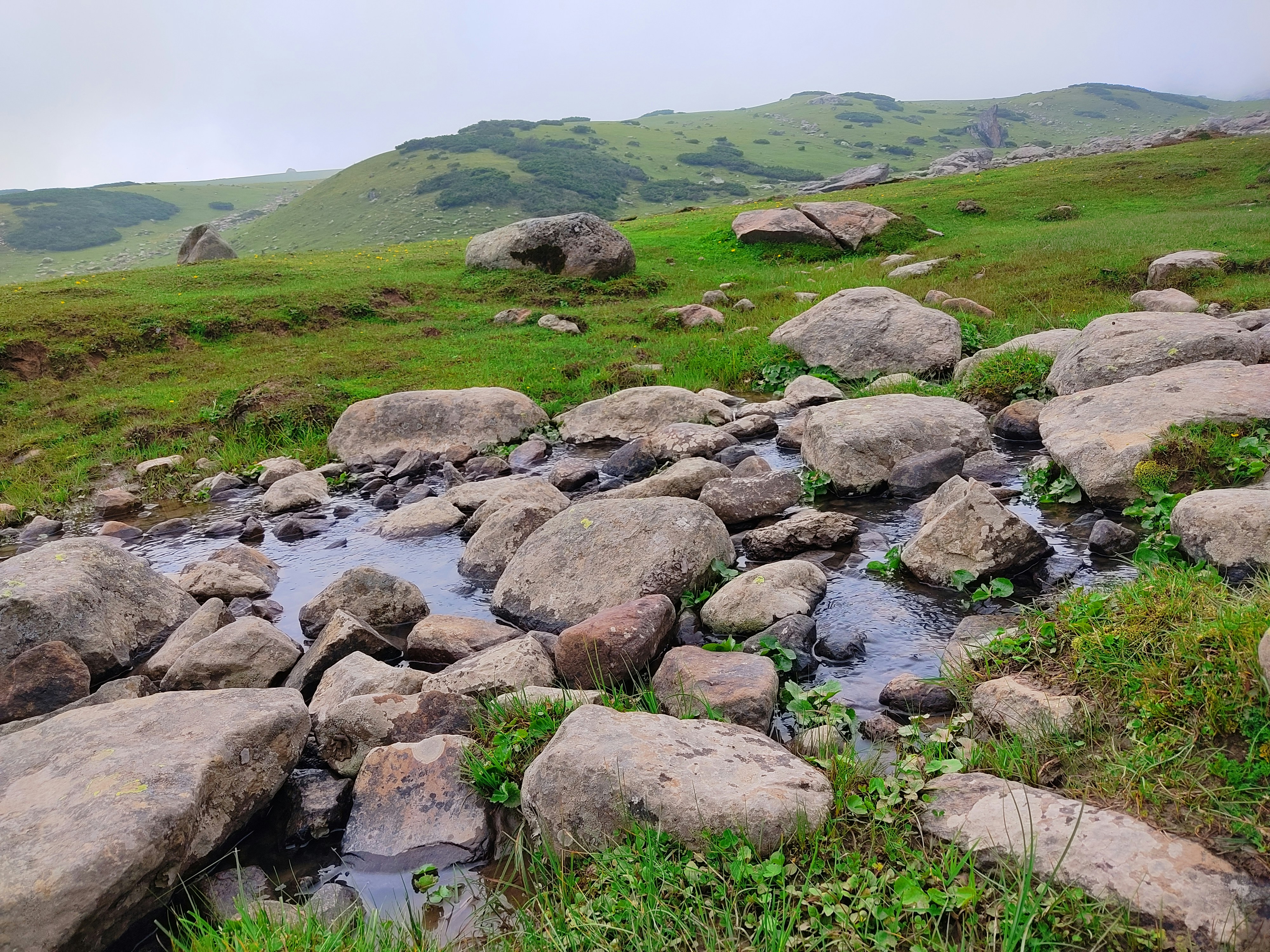A stream running through a lush green hillside photo – Free Doodhpathri ...