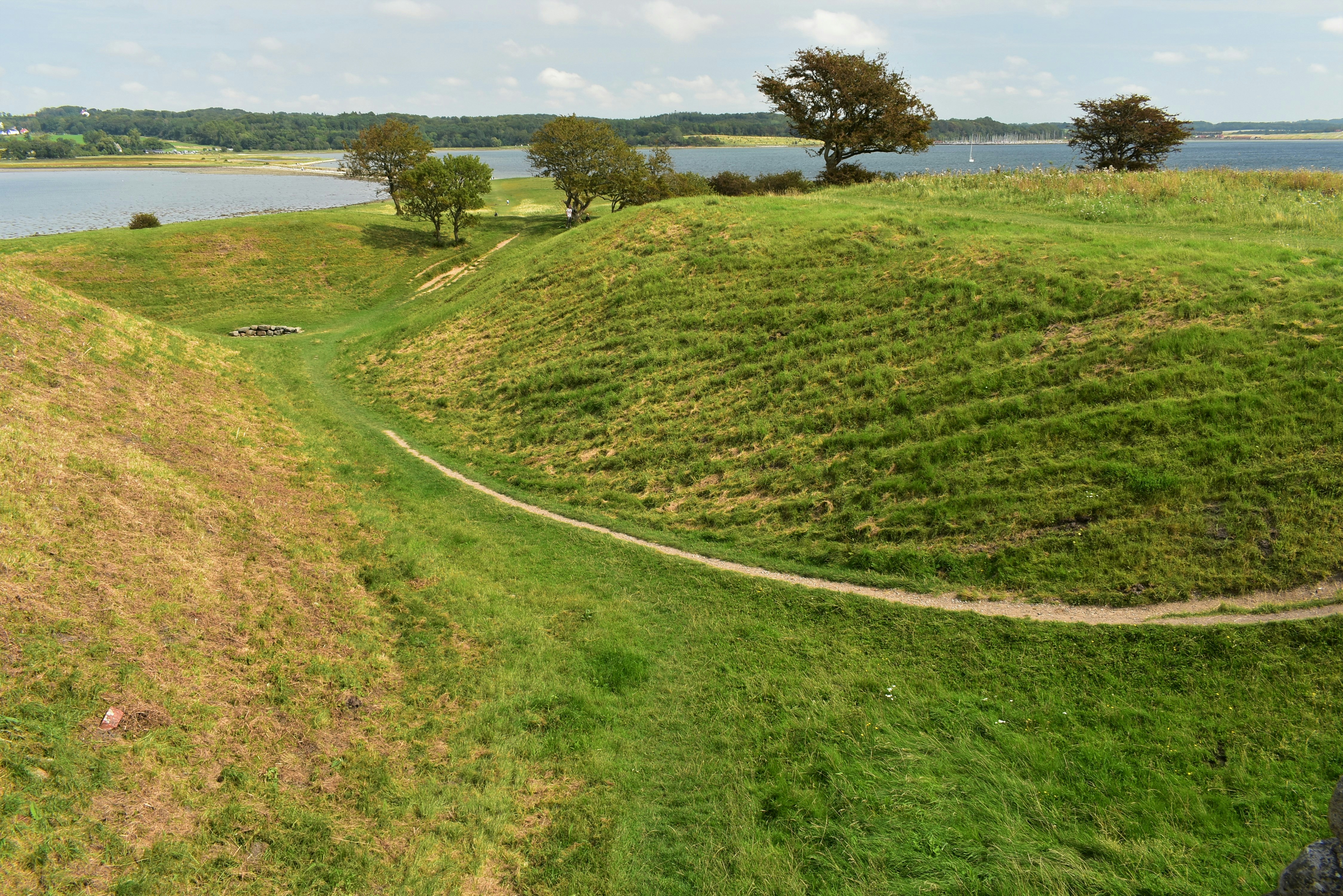 Ridge Path to the Lone Trees Over a Tranquil Lake