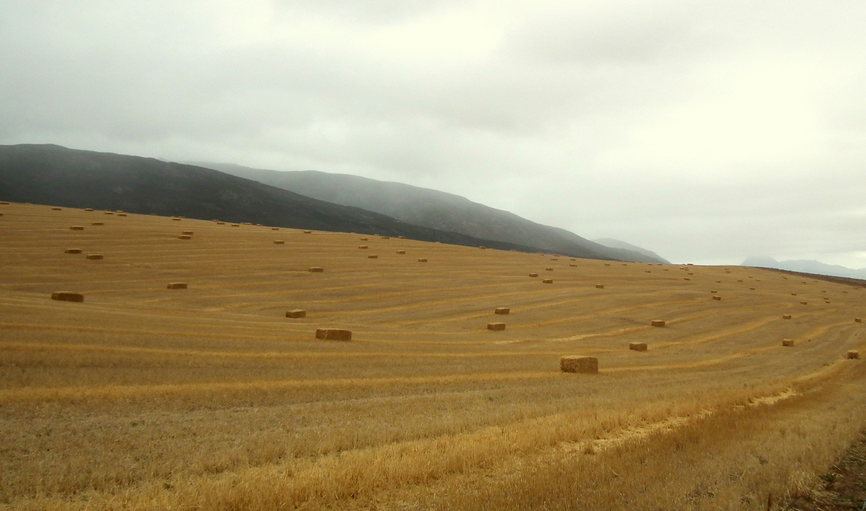 Photo by fred tromp with Fujifilm FinePix HS10