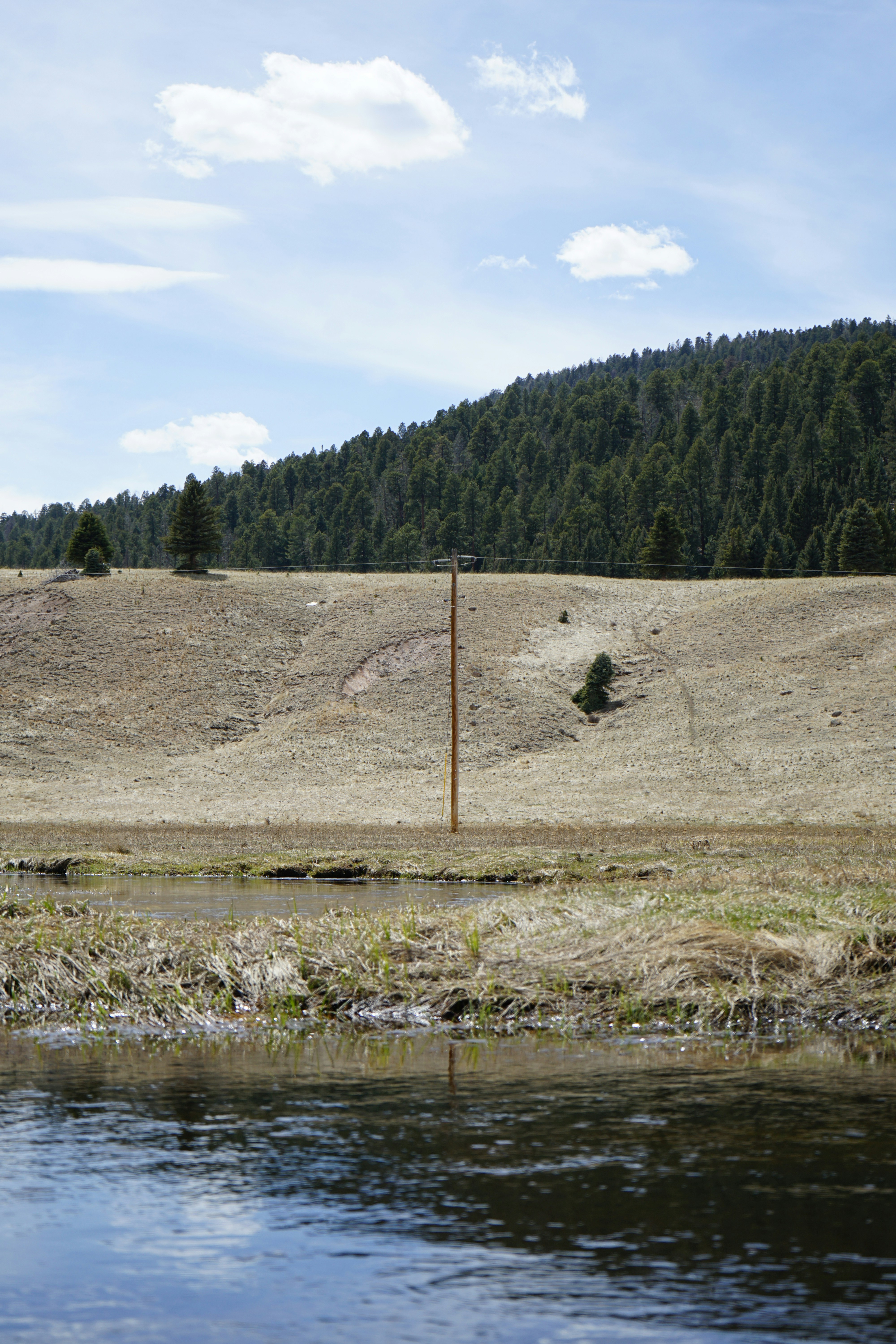 Lone Pole at the Quiet Boundary of Riverbank and Pine Hill