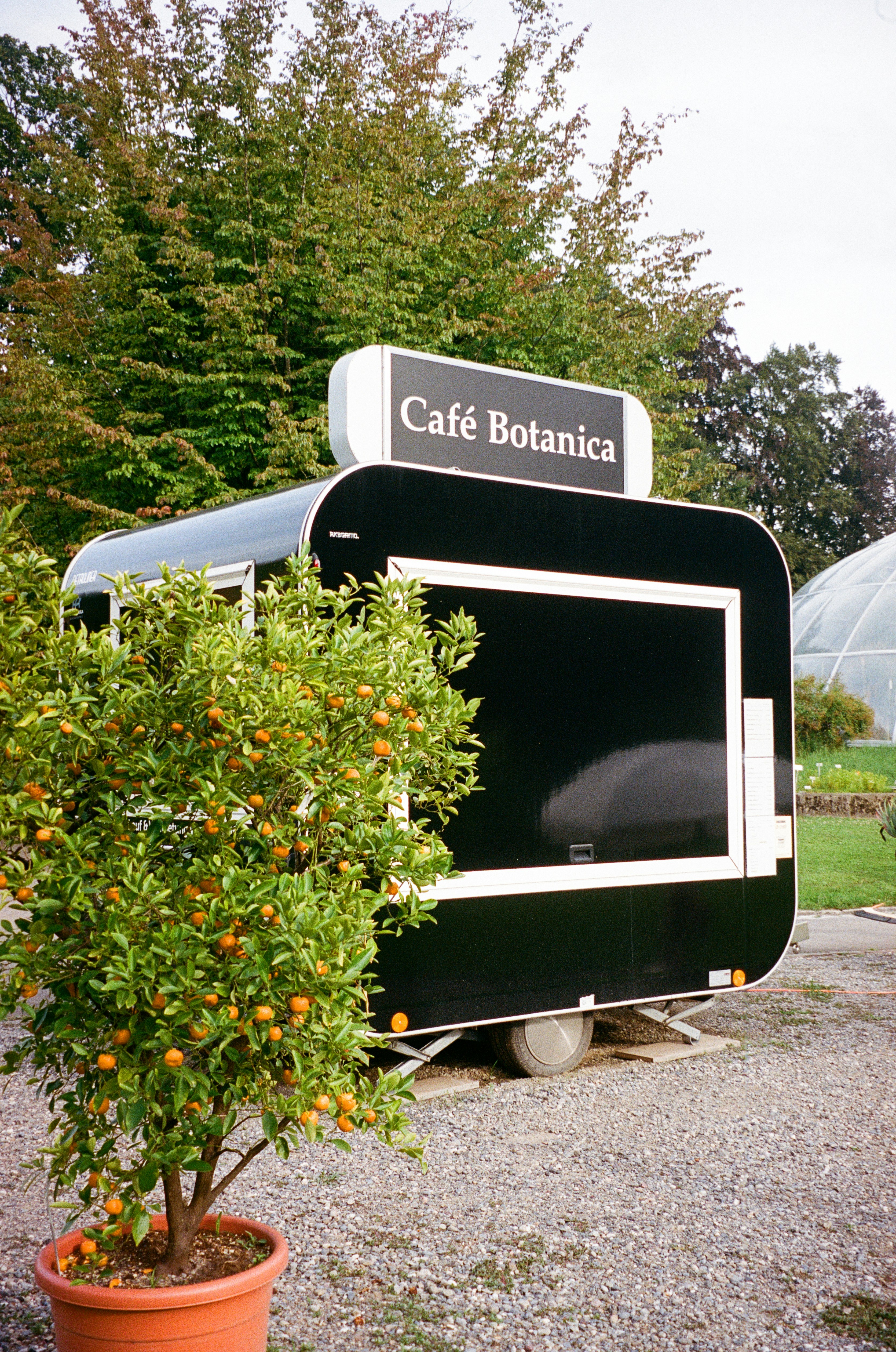 Photo on my Olympus mjuiii80 & kodak porta 400