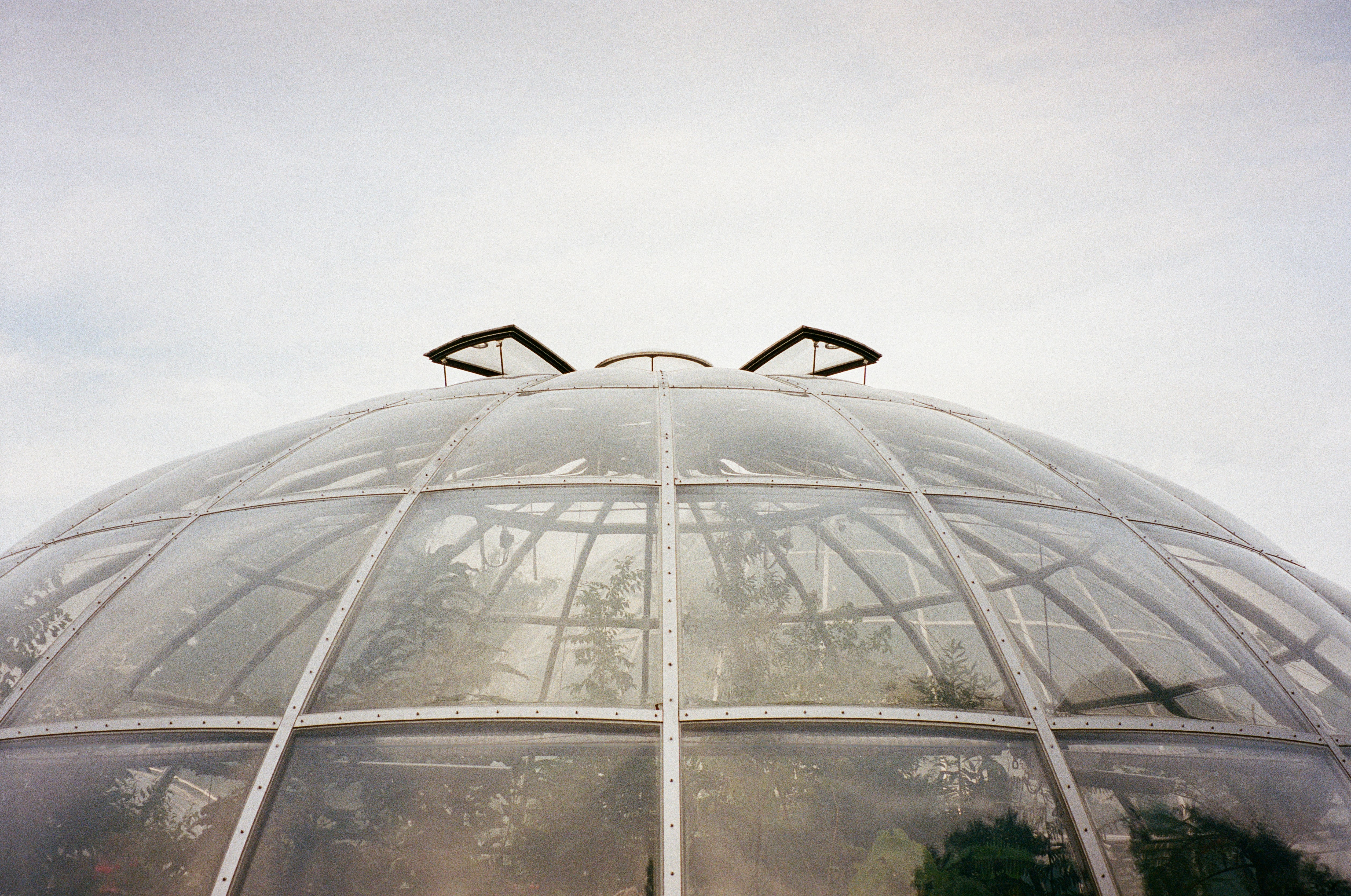 Photo on my Olympus mjuiii80 & kodak porta 400