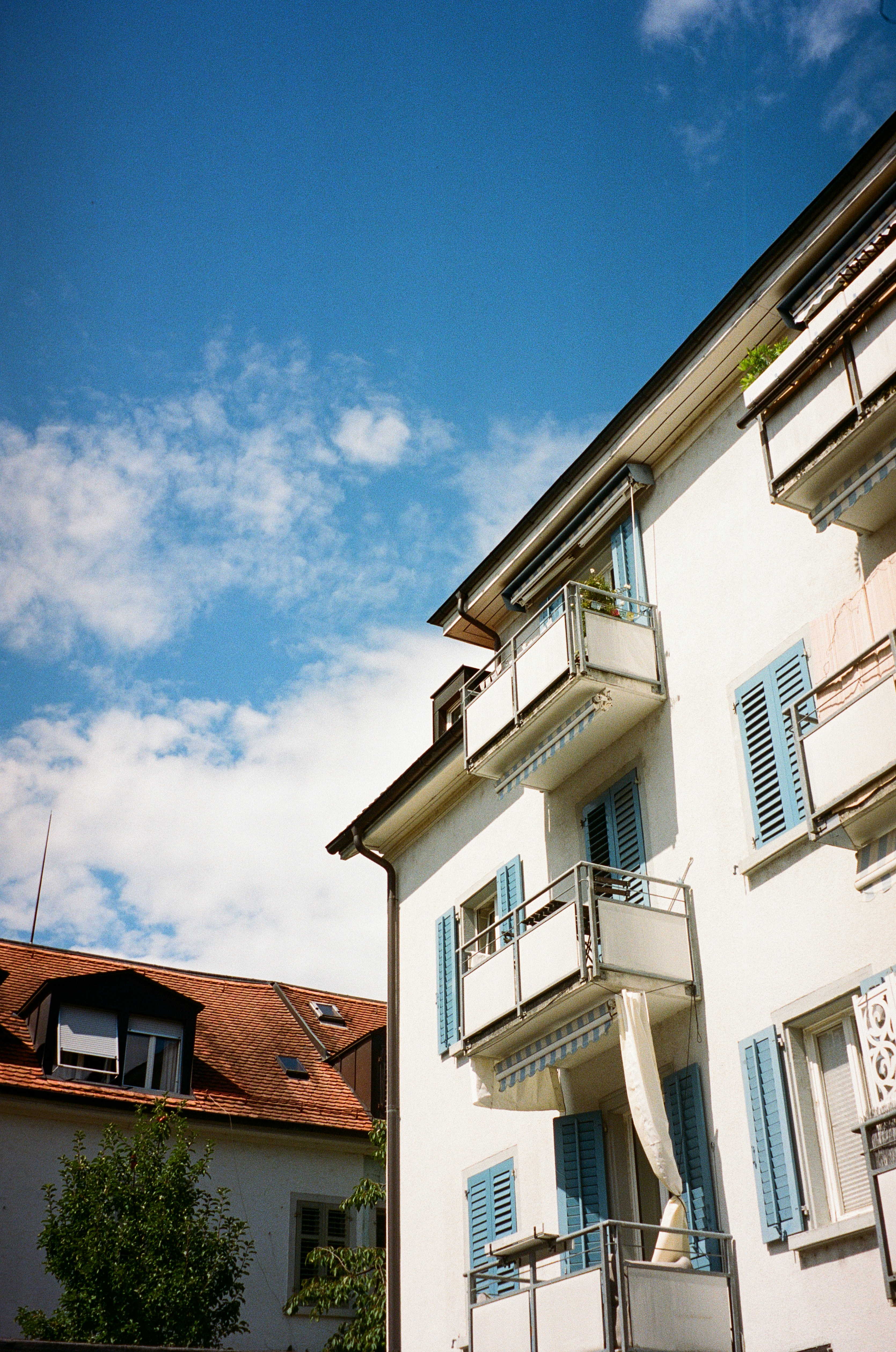 Photo on my Olympus mjuiii80 & kodak porta 400