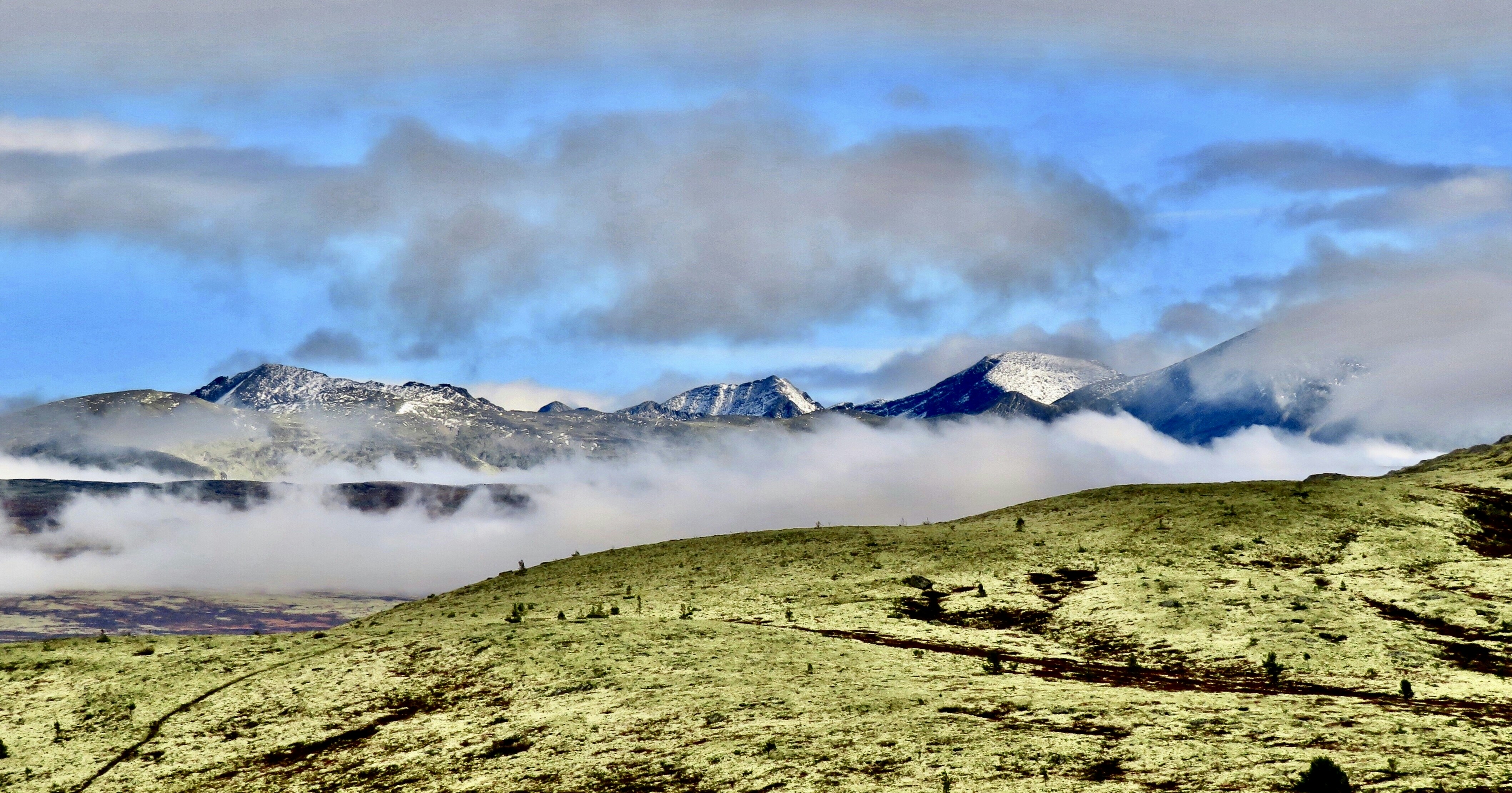 Cloud-veiled Ridge: Noon Light across a Rolling Moor