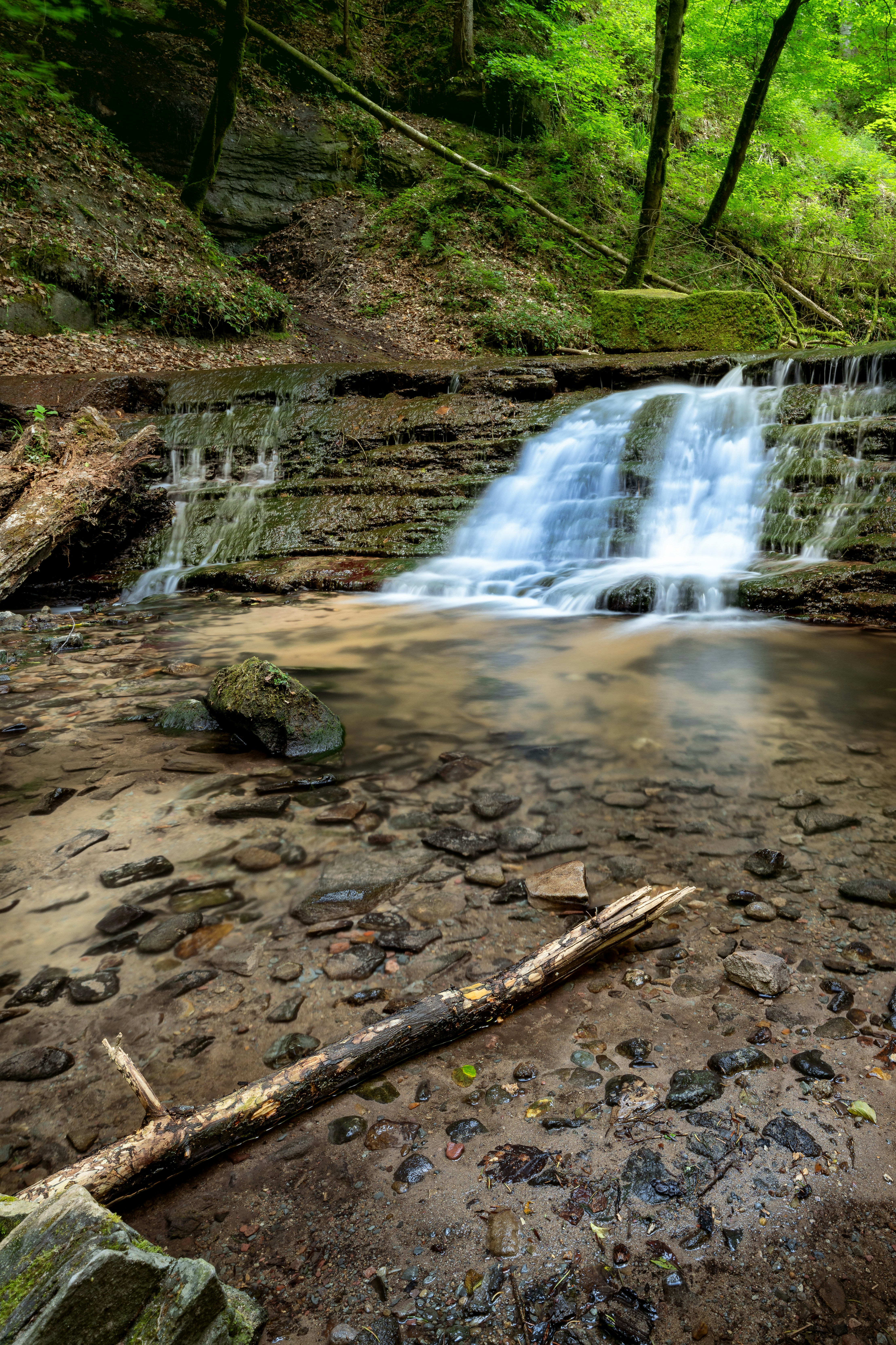 A small waterfall in the middle of a forest photo – Free 73635 ...