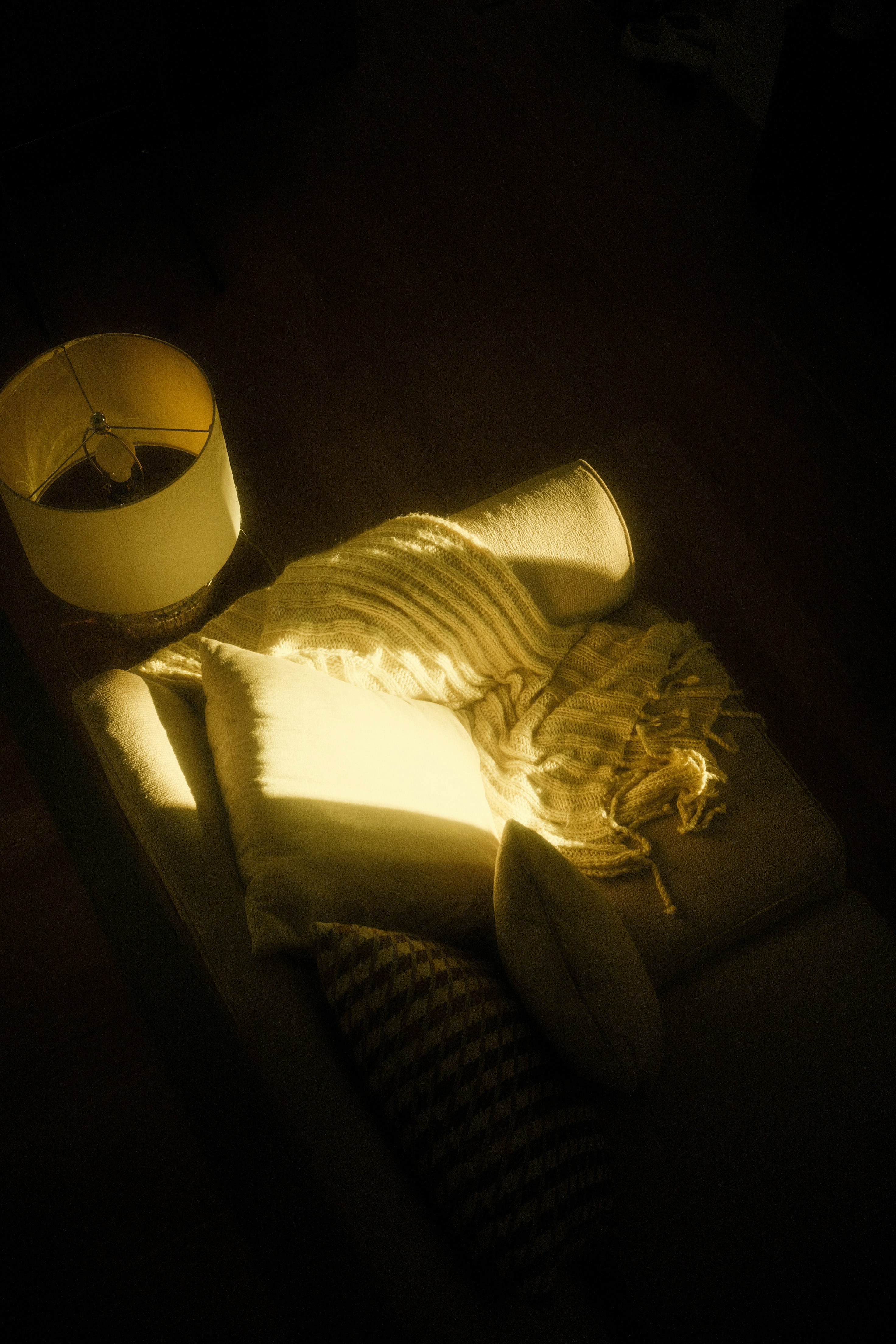 A cat laying on a couch next to a lamp photo – Free Cat Image on Unsplash
