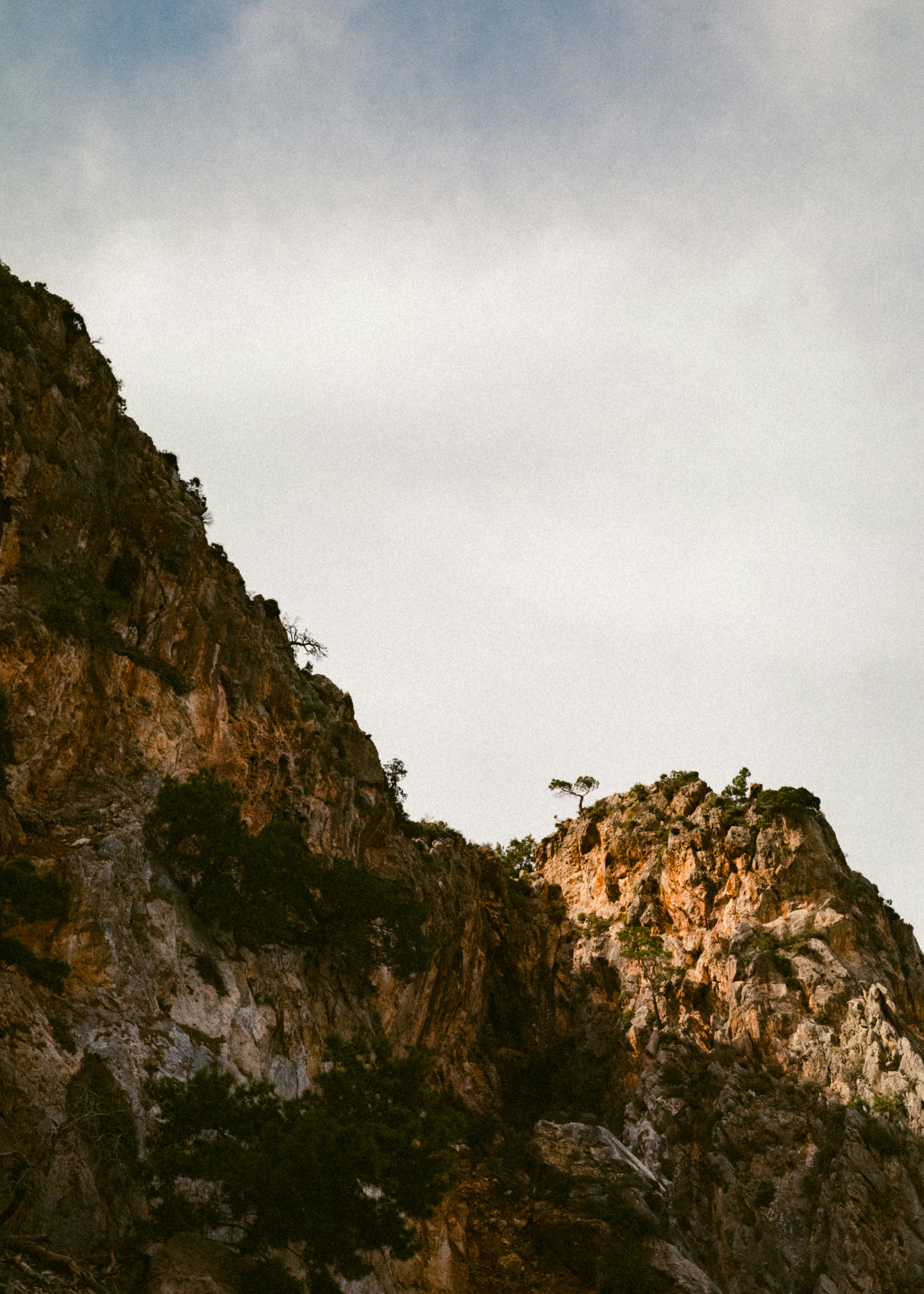 Rugged mountain peaks adorned with sparse vegetation under a soft, cloudy sky.