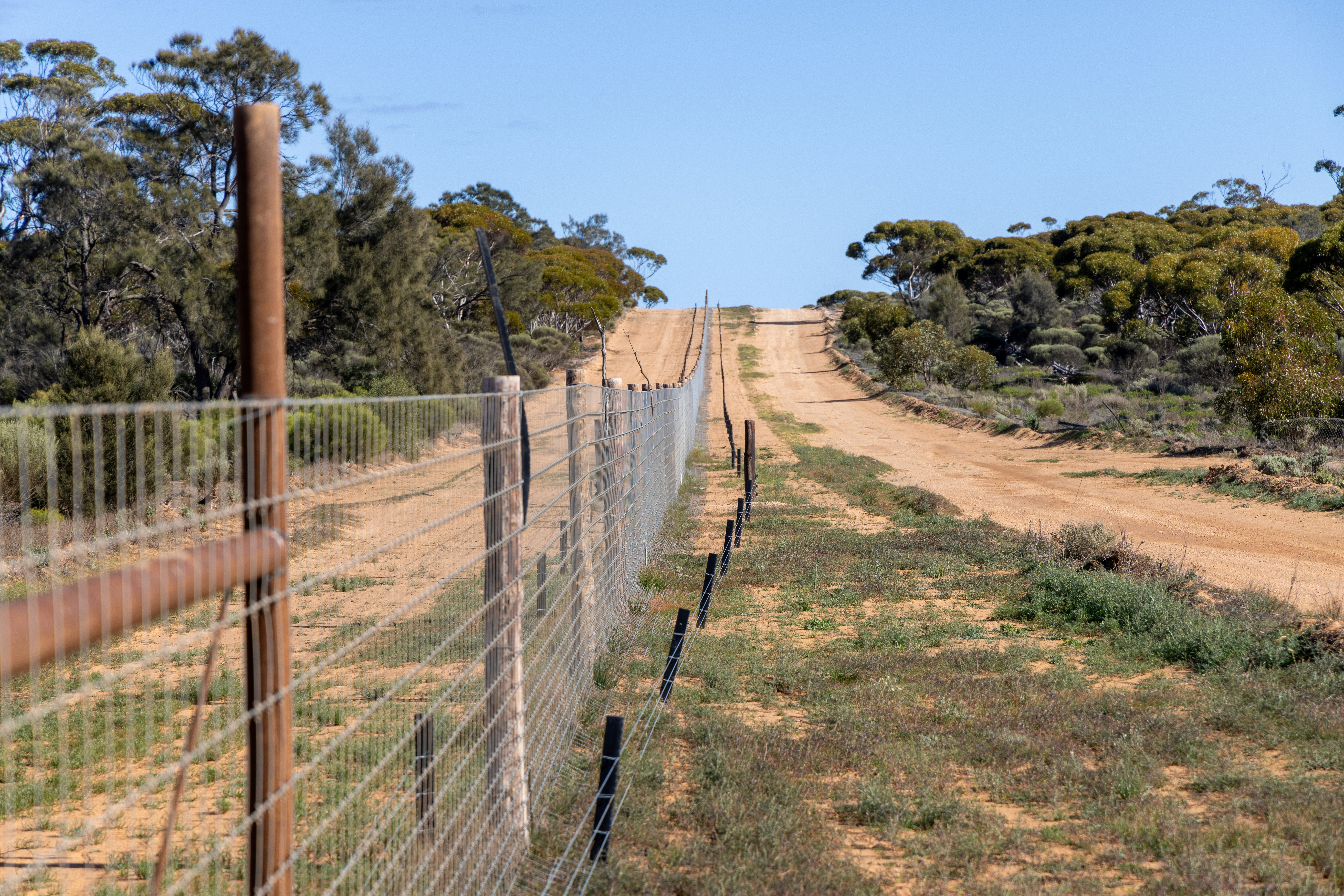 Sunshine Coast Glass Fencing The Ultimate Guide to Modern Boundaries ...