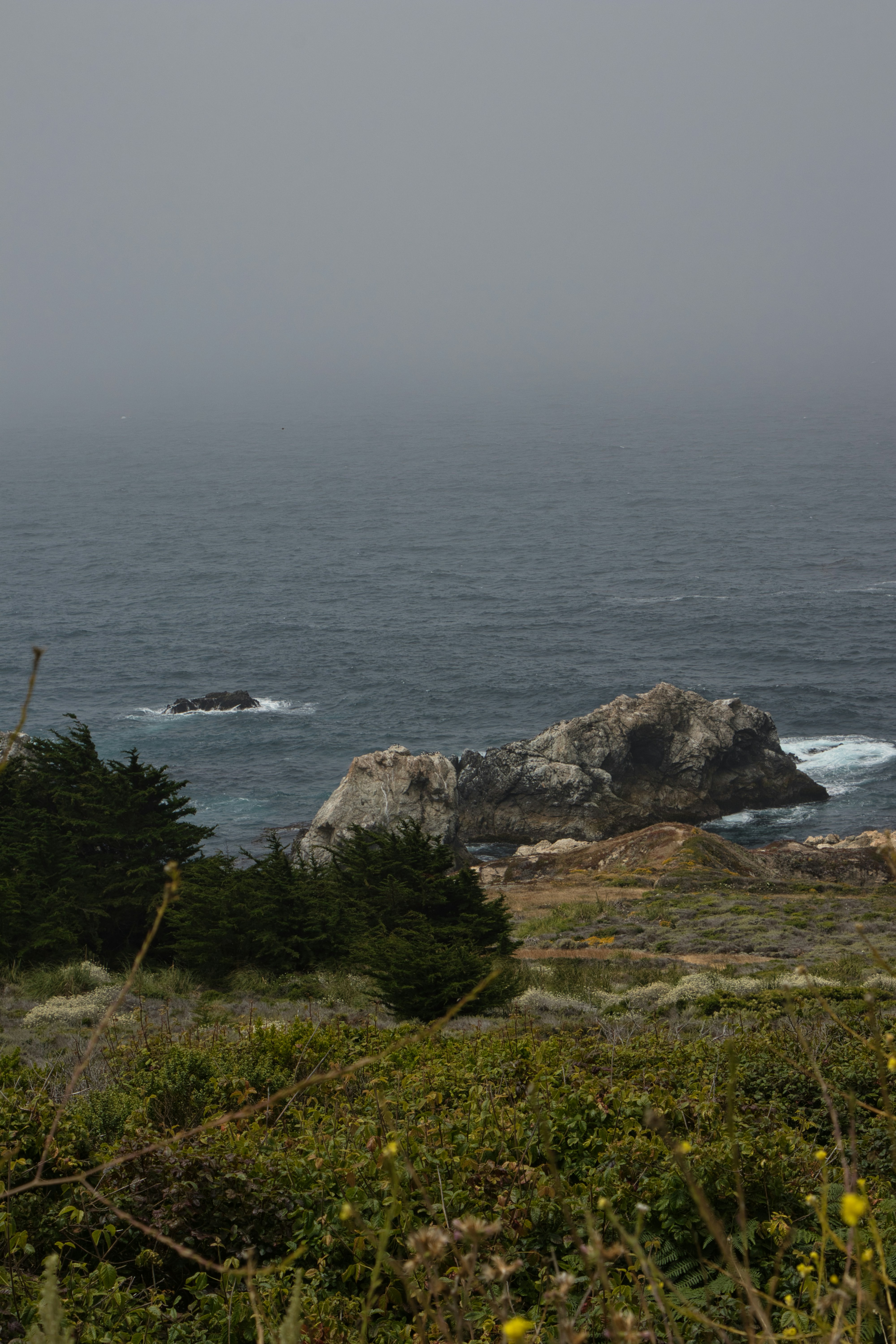 Fog-Worn Outcrop at the Quiet Edge of the Sea