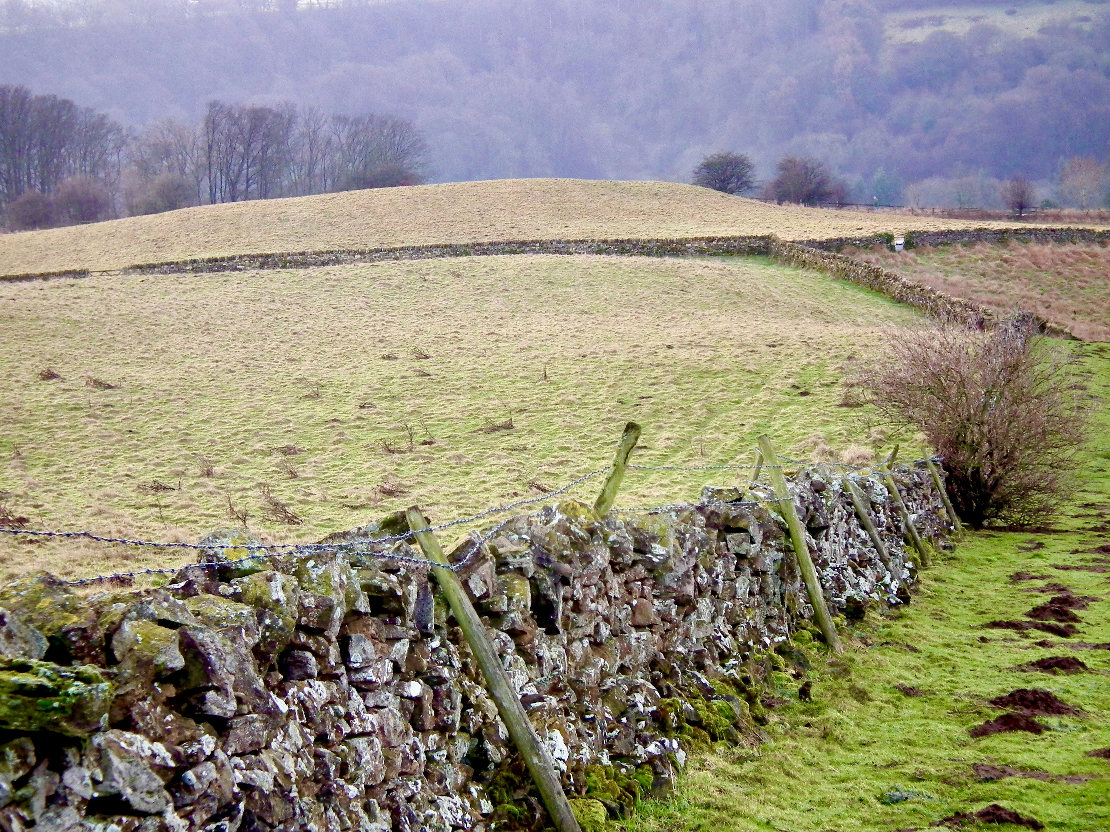 A stone wall in the middle of a field photo – Free Wall Image on Unsplash