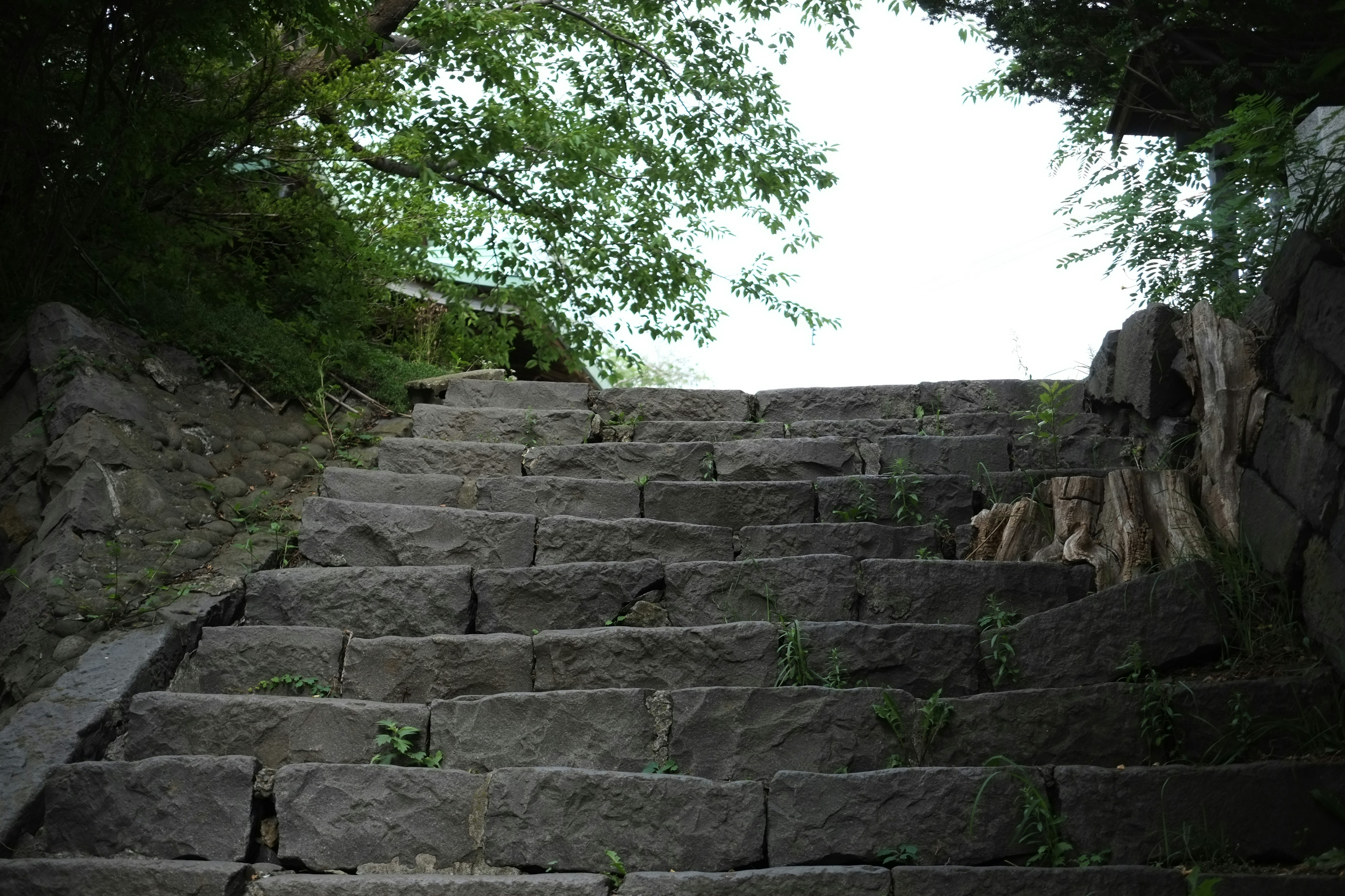 A bunch of stone steps going up a hill photo – Free Path Image on Unsplash