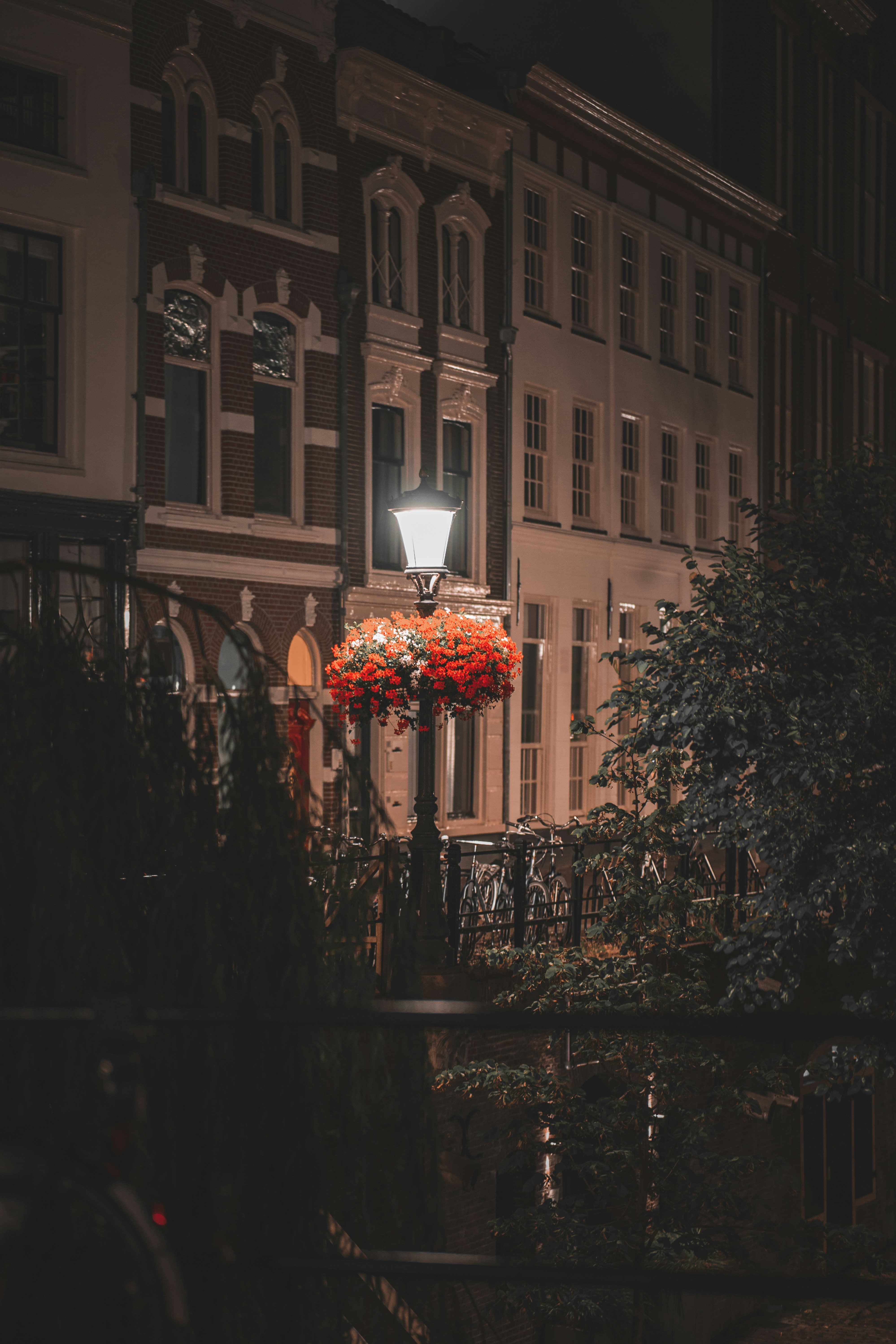 Night Bloom on a Cobbled Street Post