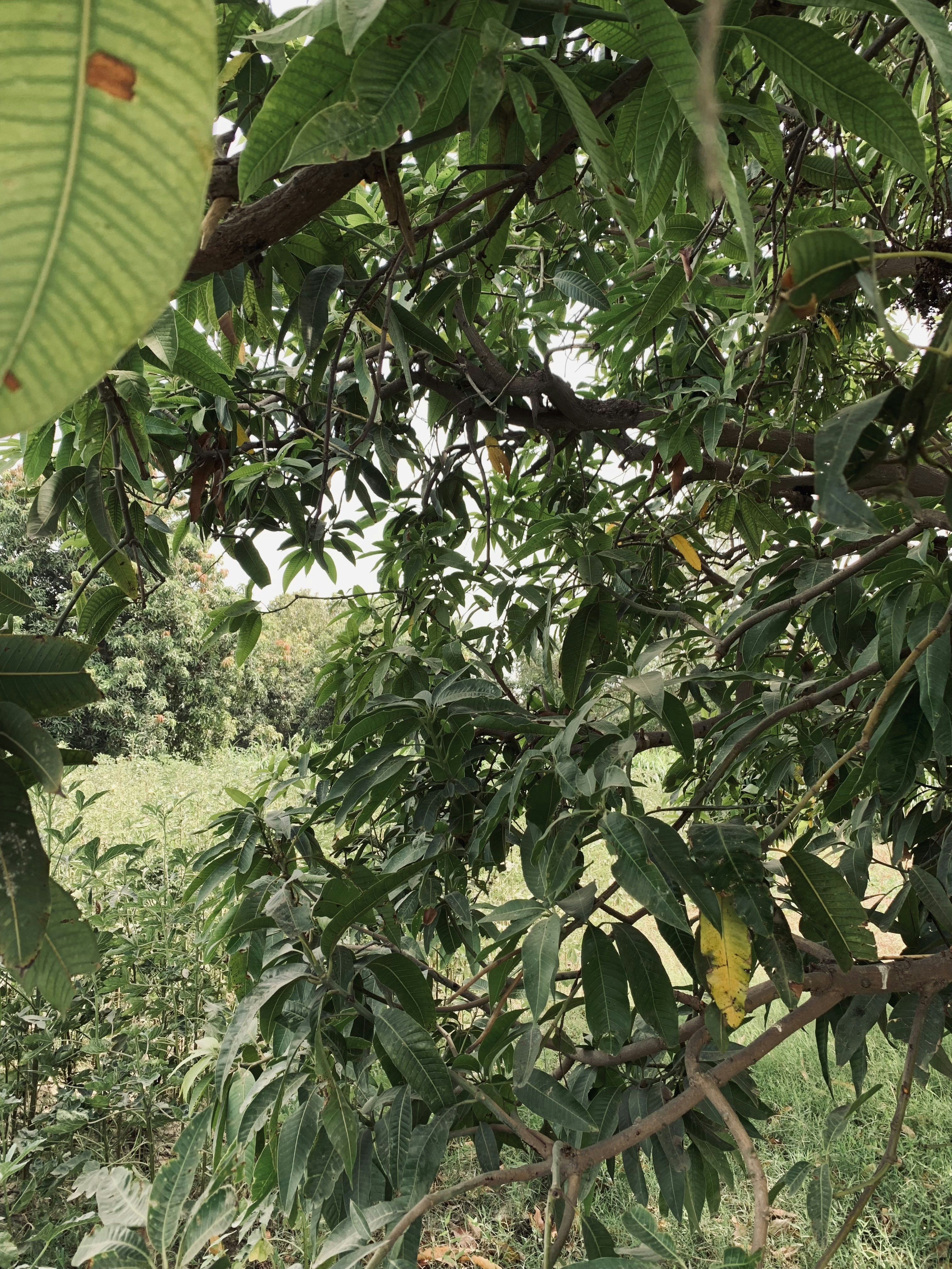 Photo by Abdullah Sajjad with Apple iPhone XS