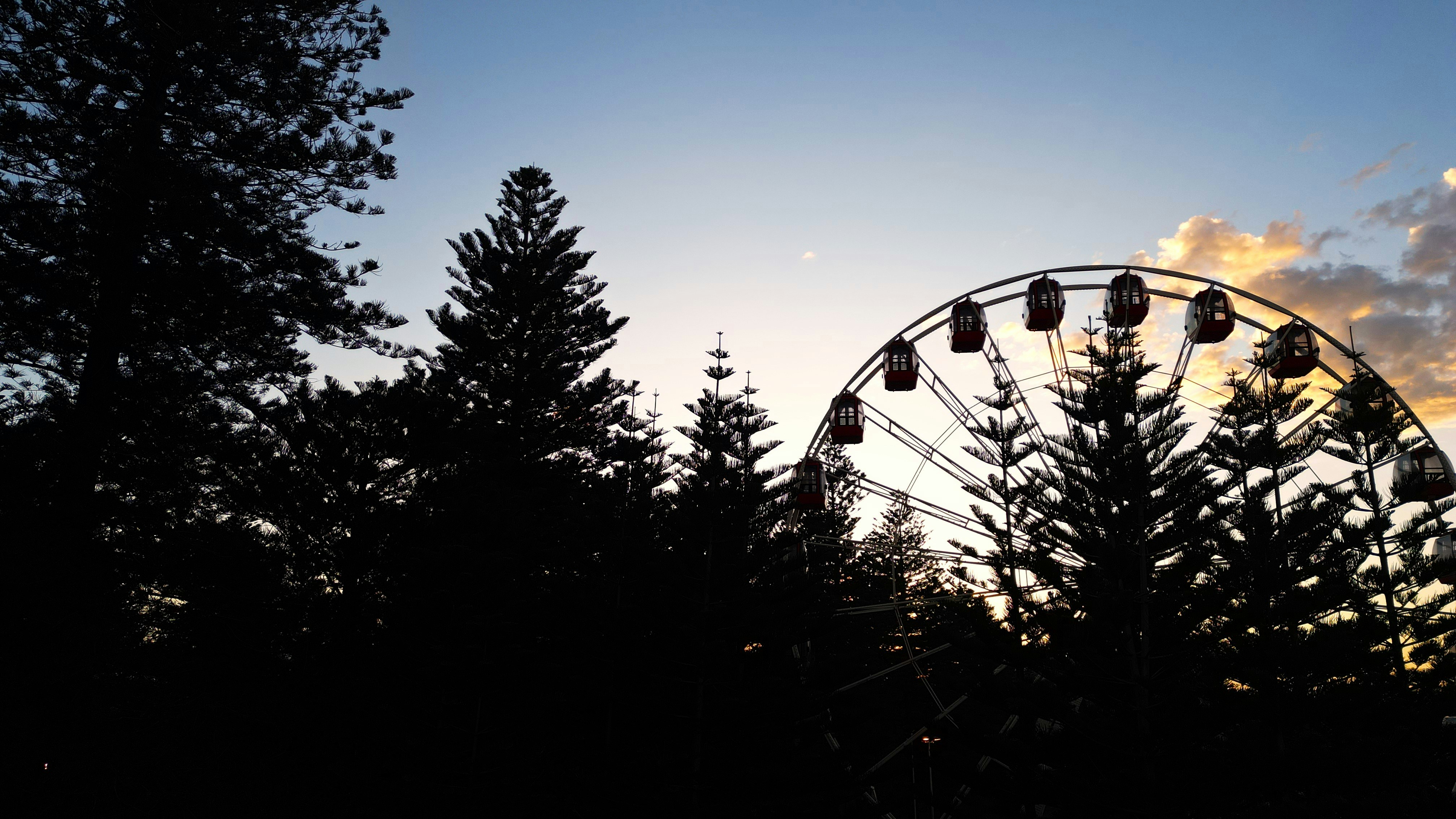 Ferris Wheel at Dusk: A Silhouette Over a Pine Skyline