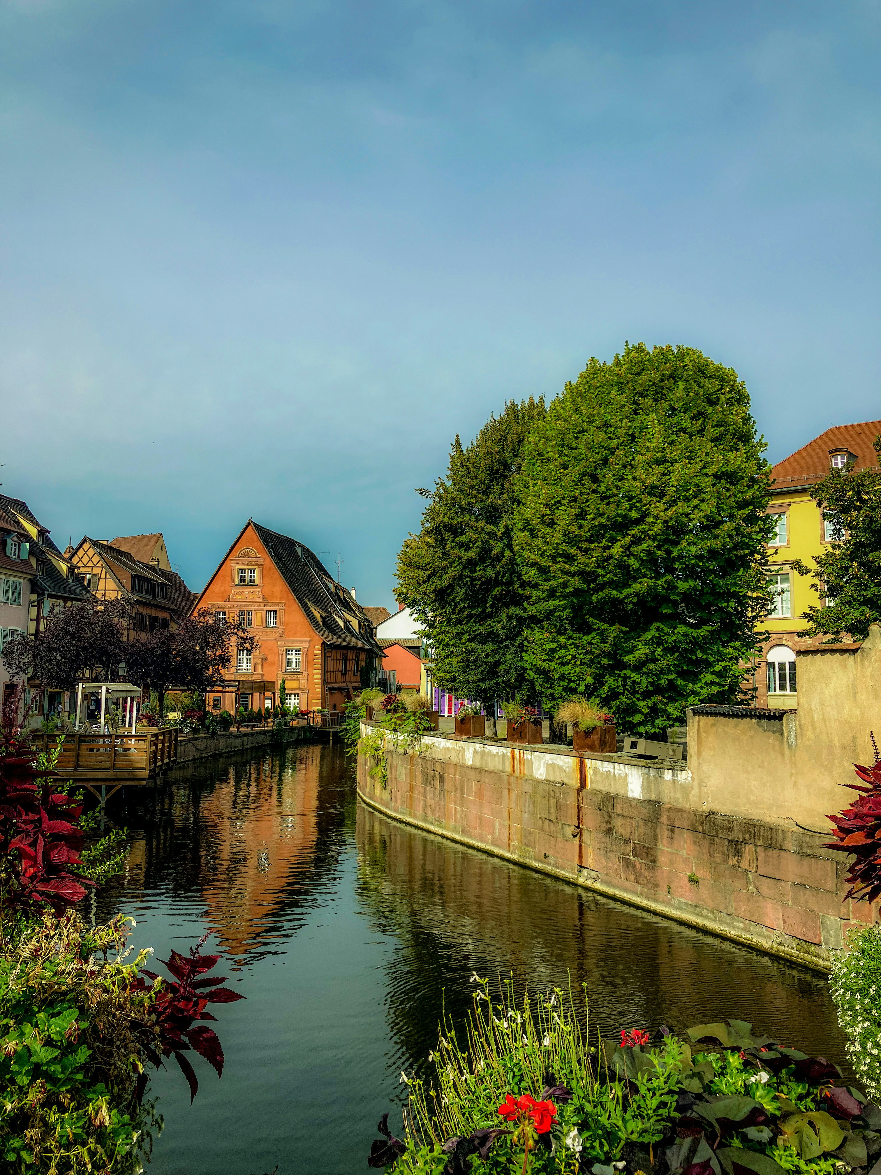 A river running through a lush green countryside photo – Free Colmar ...