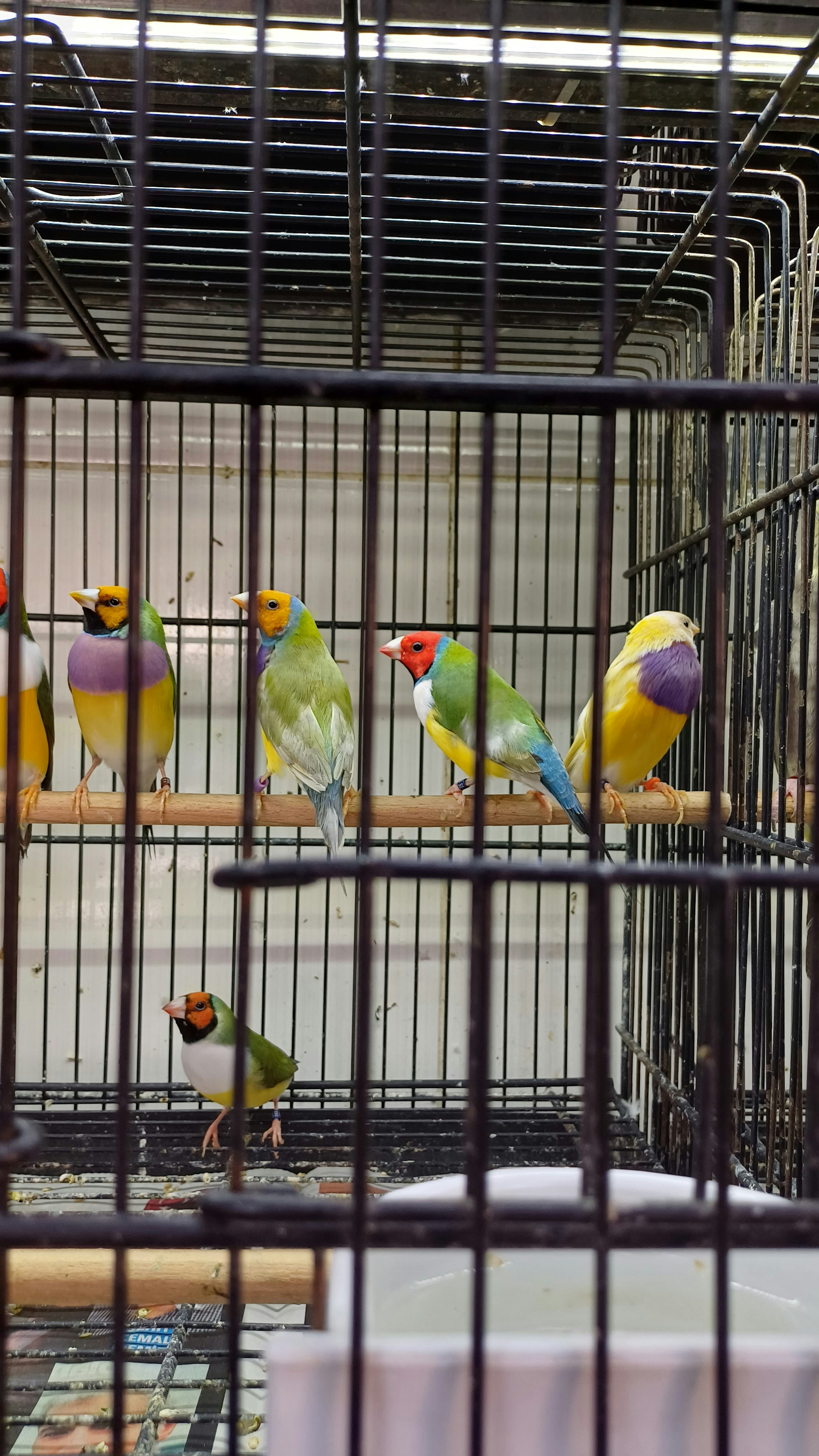 Photo by Saliha Sultan Söğütlü with Samsung Galaxy A34