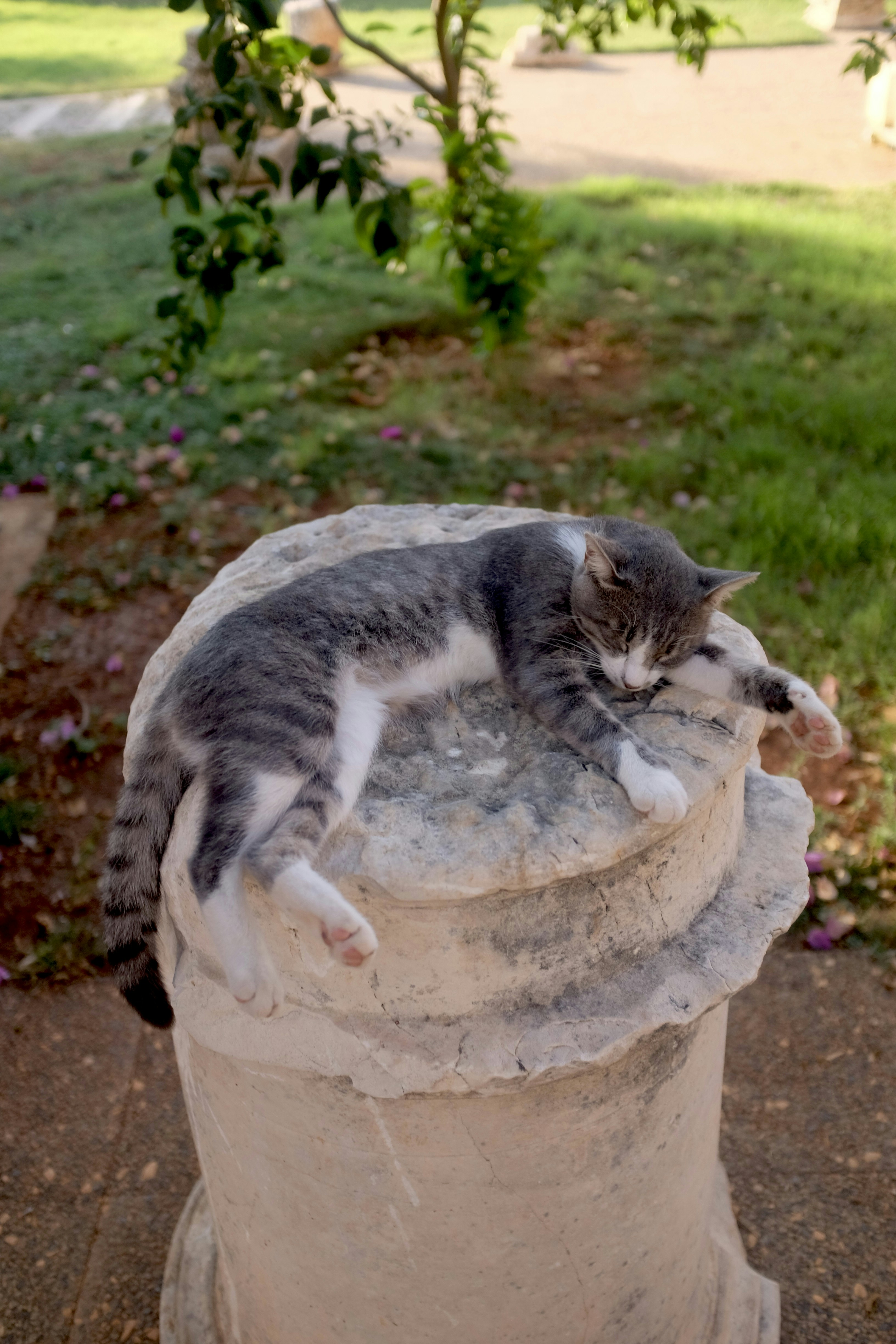 Photo by Ignat Kushnarev with Fujifilm X100S