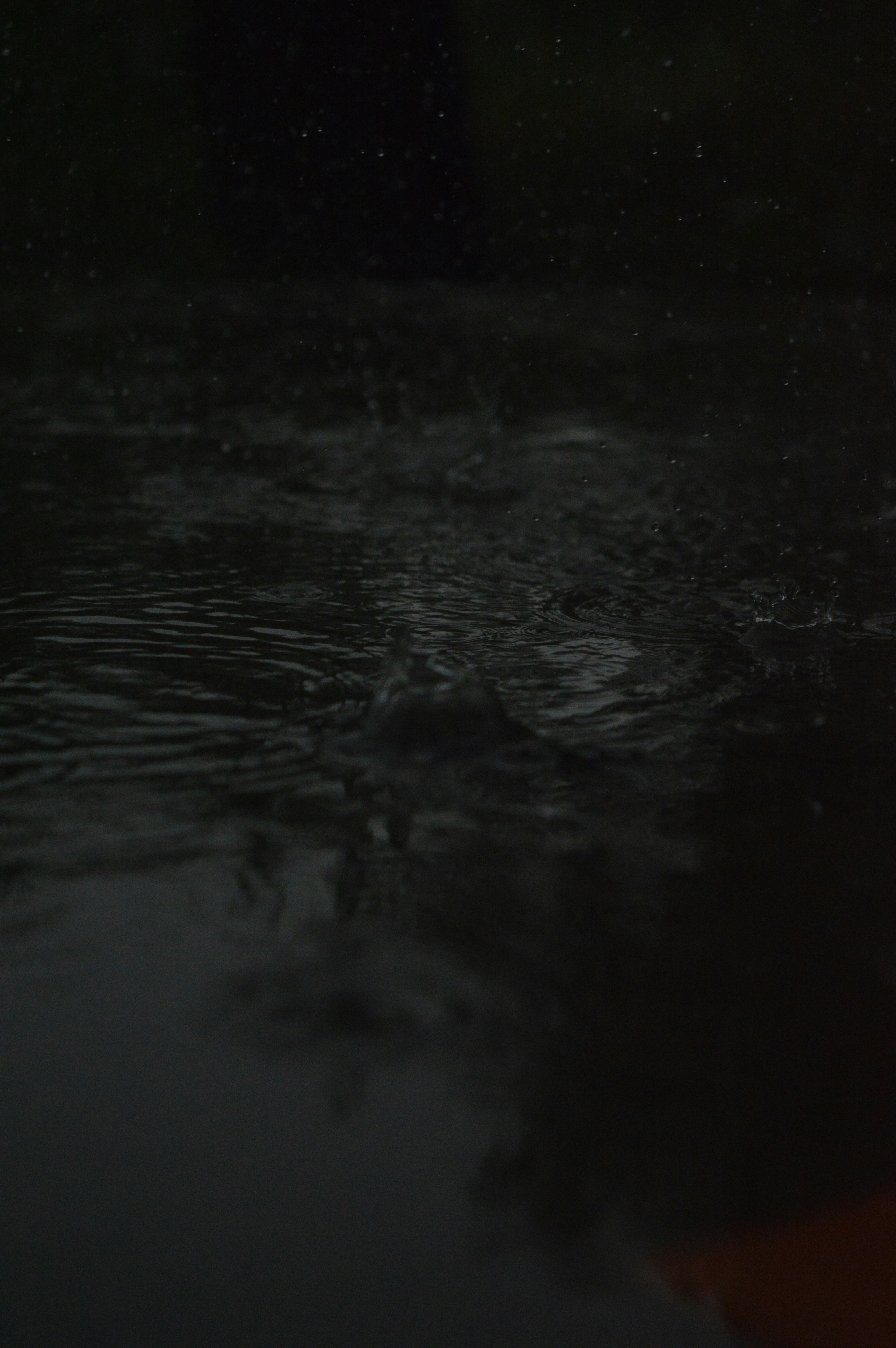 Photo by Mihai Marian with Nikon D3200