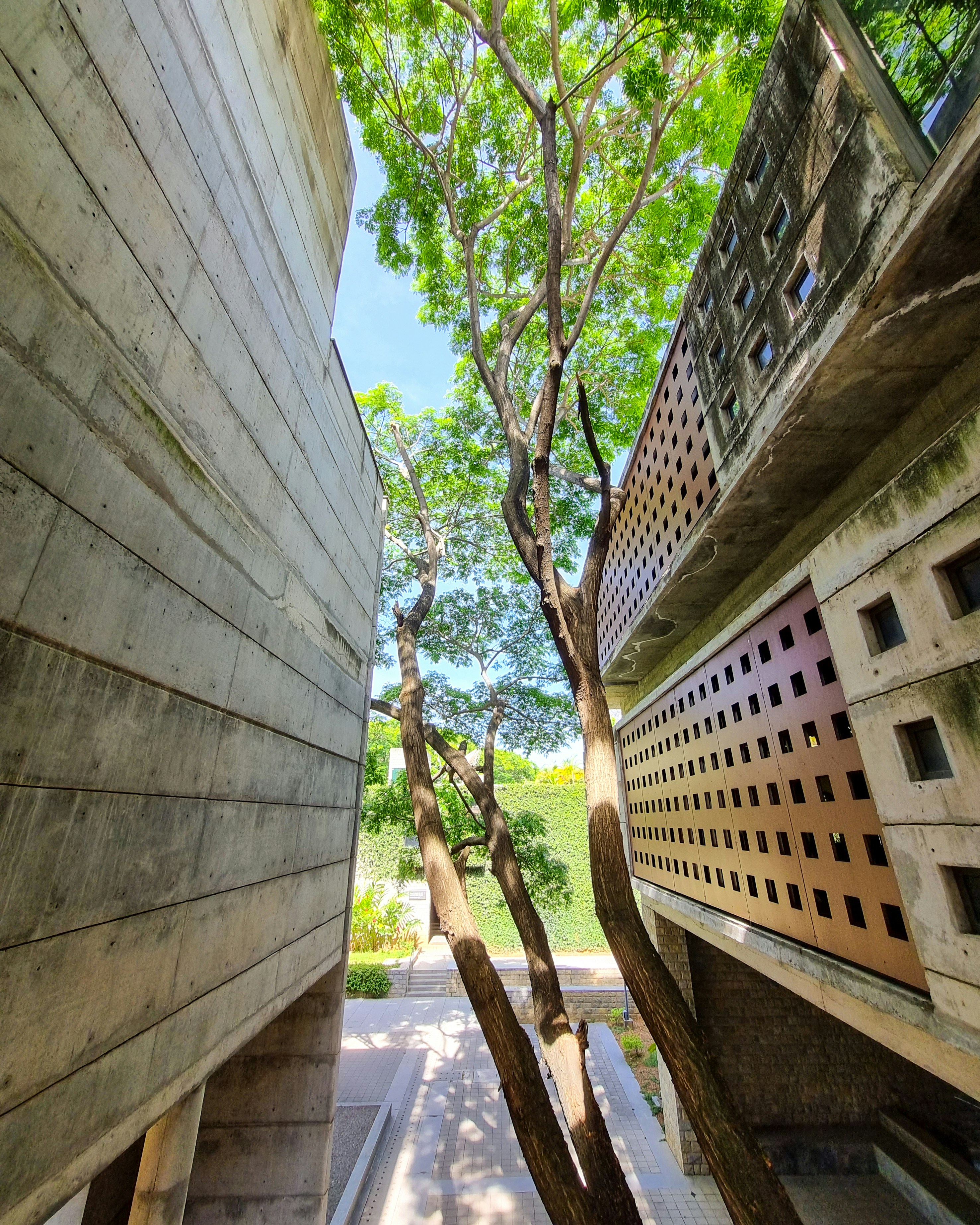 A couple of trees that are next to a building photo – Free Indian ...