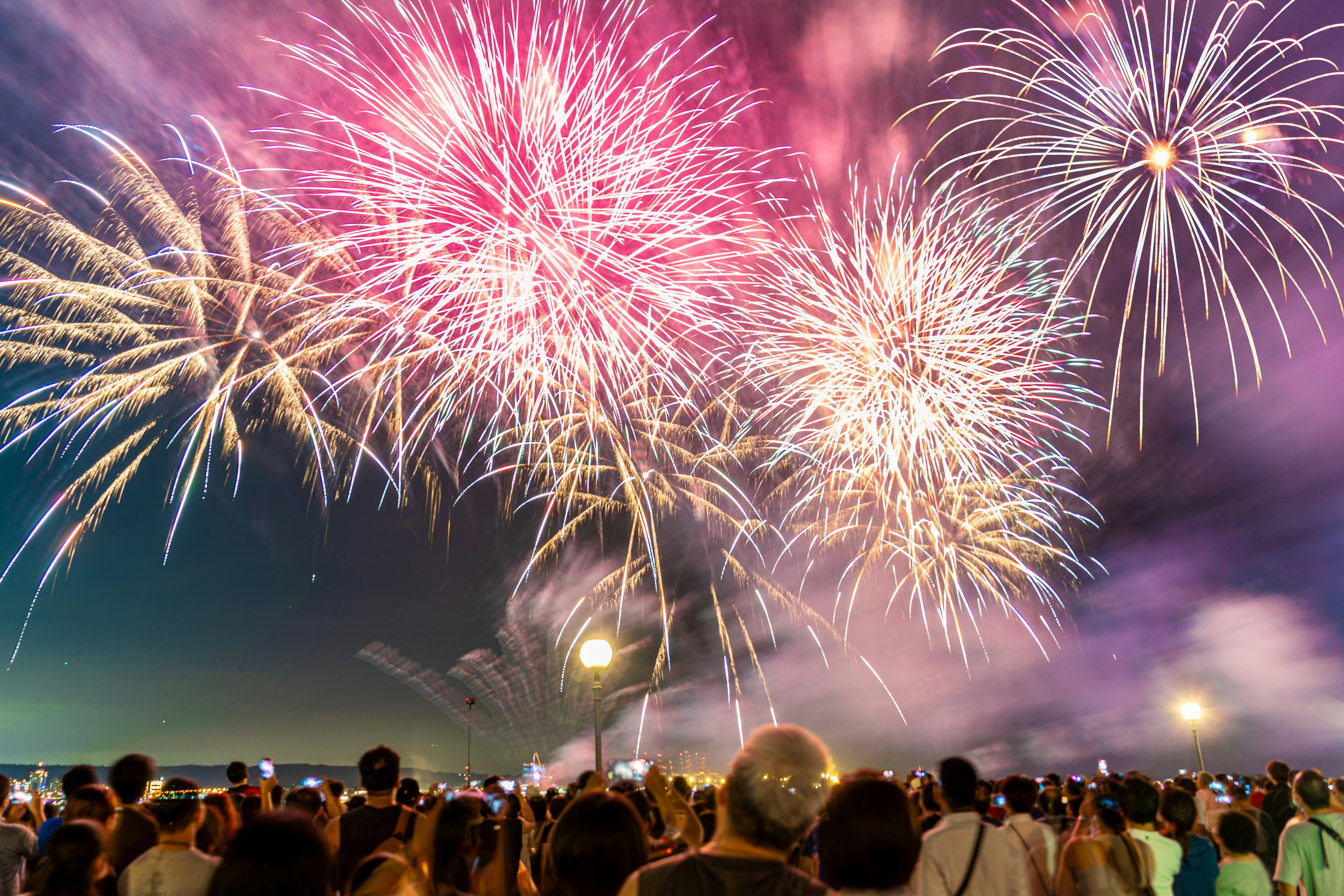 a large group of people watching a fireworks display