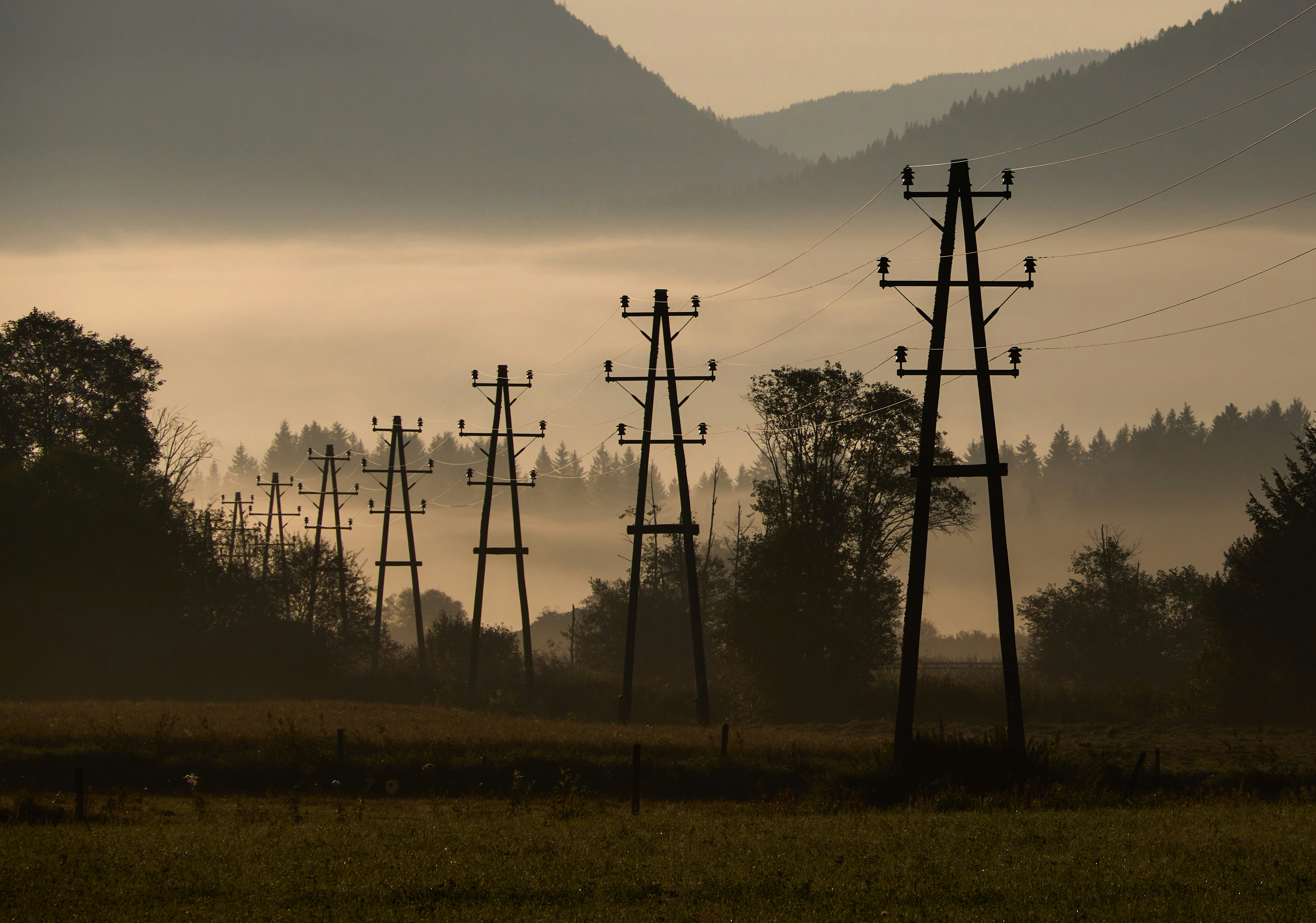 Silhouetted telephone poles stretch across a misty field against a backdrop of hazy mountains.
