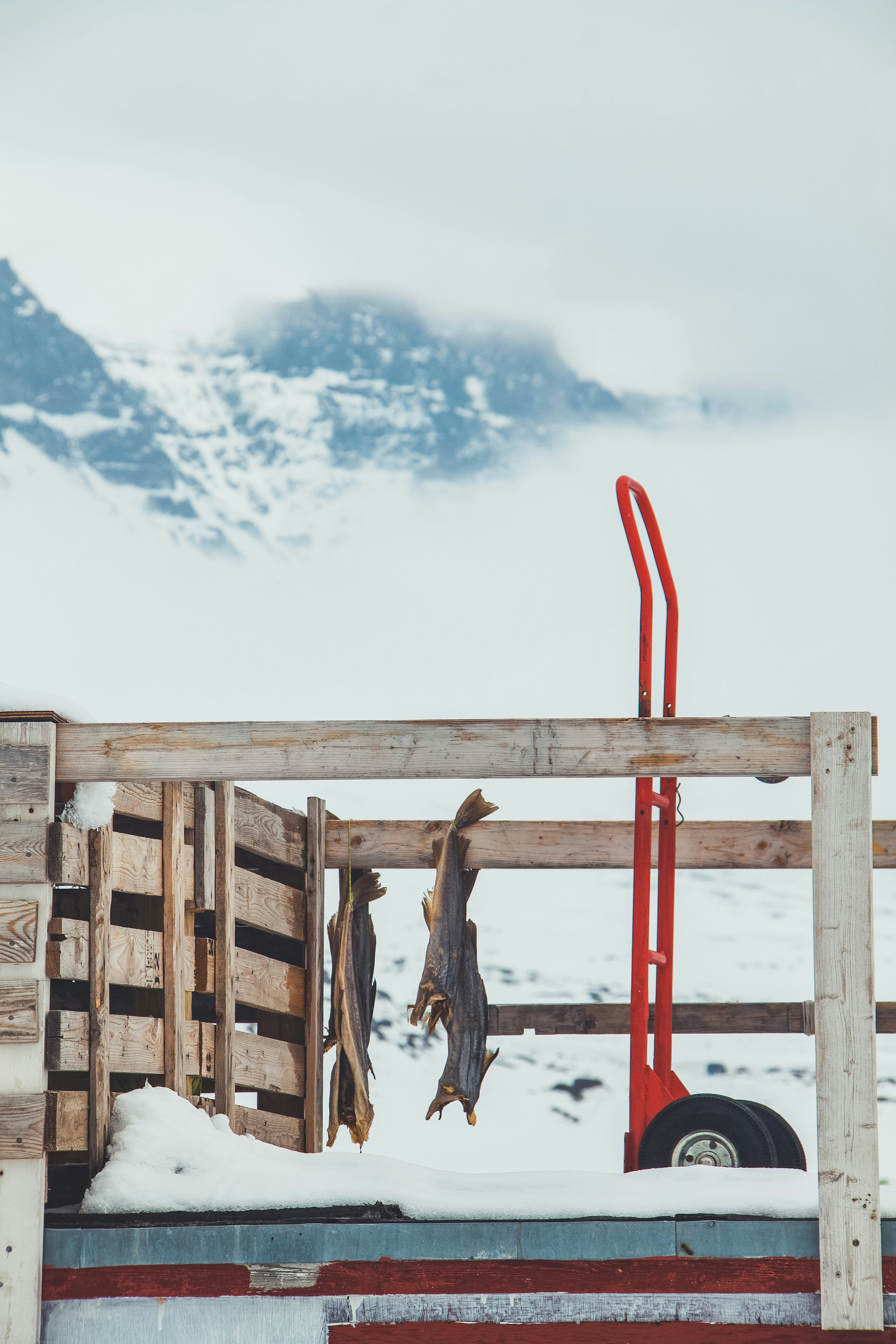 Dried fish hanging from a wooden structure with a red cart nearby, set against a backdrop of misty mountains. The scene reflects a unique cultural practice in a serene, snowy environment.