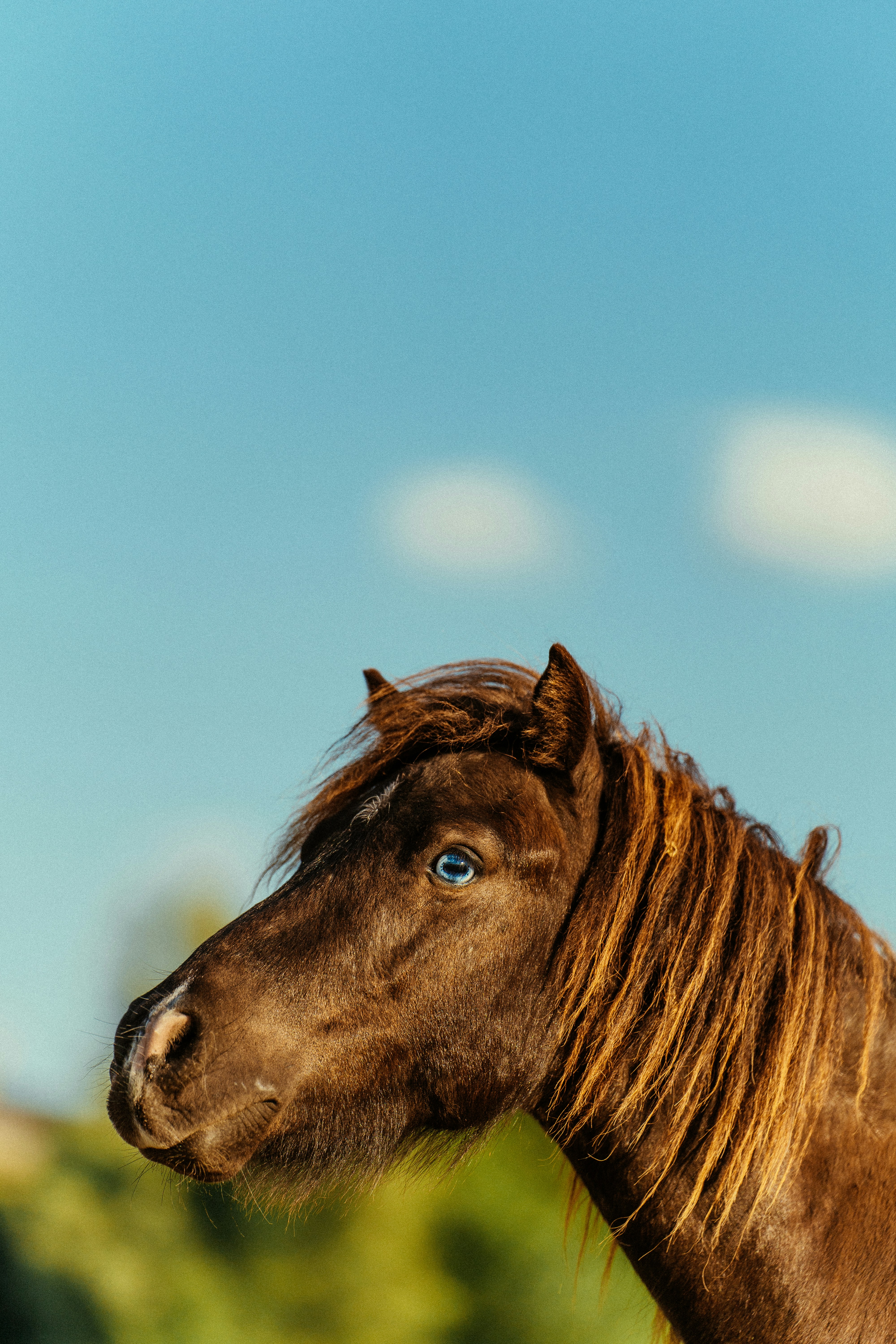 Photo by Vitalii Khodzinskyi with Sony Alpha 7 III