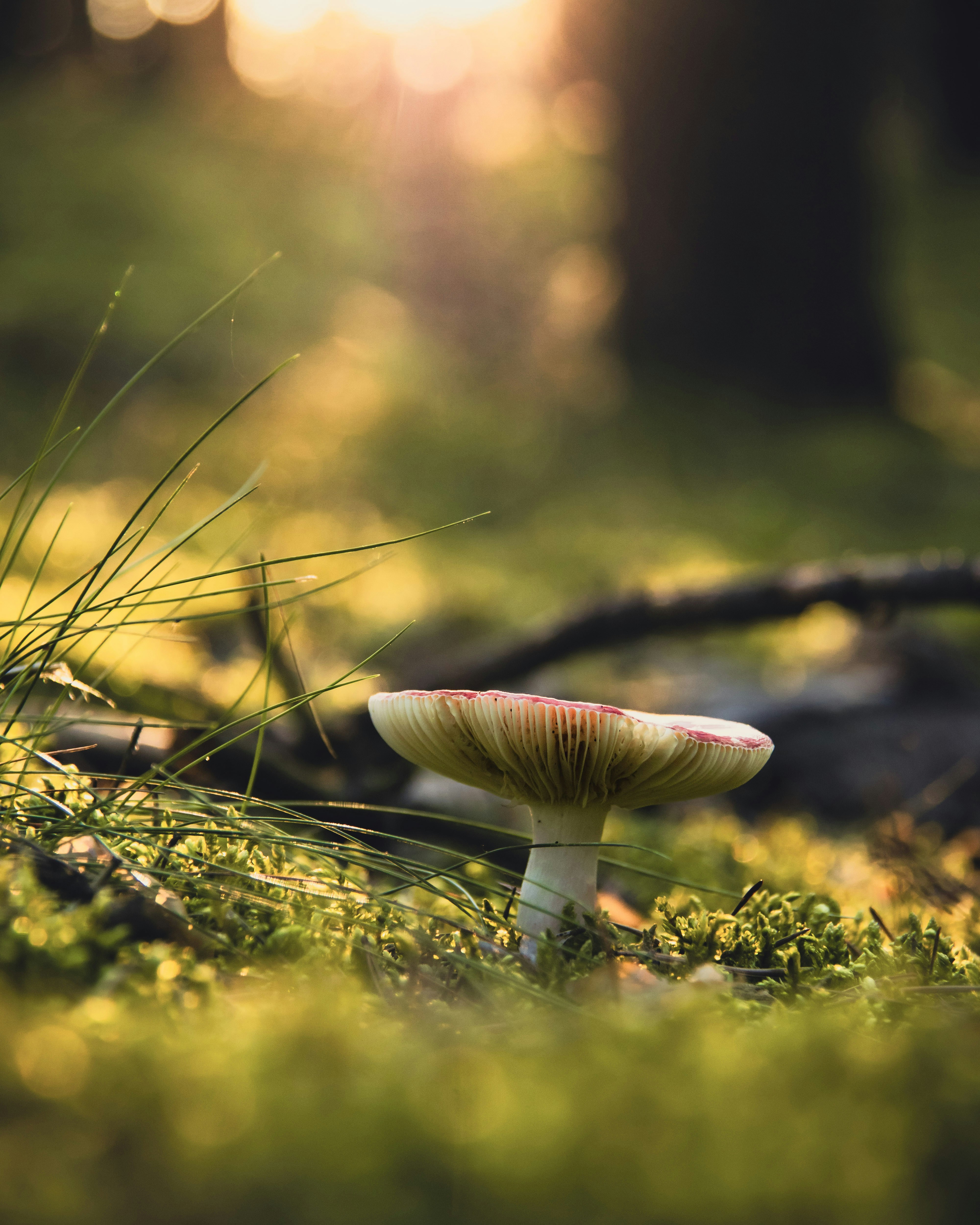 Photo by Damian Karpiński with Canon EOS M50 Mark II