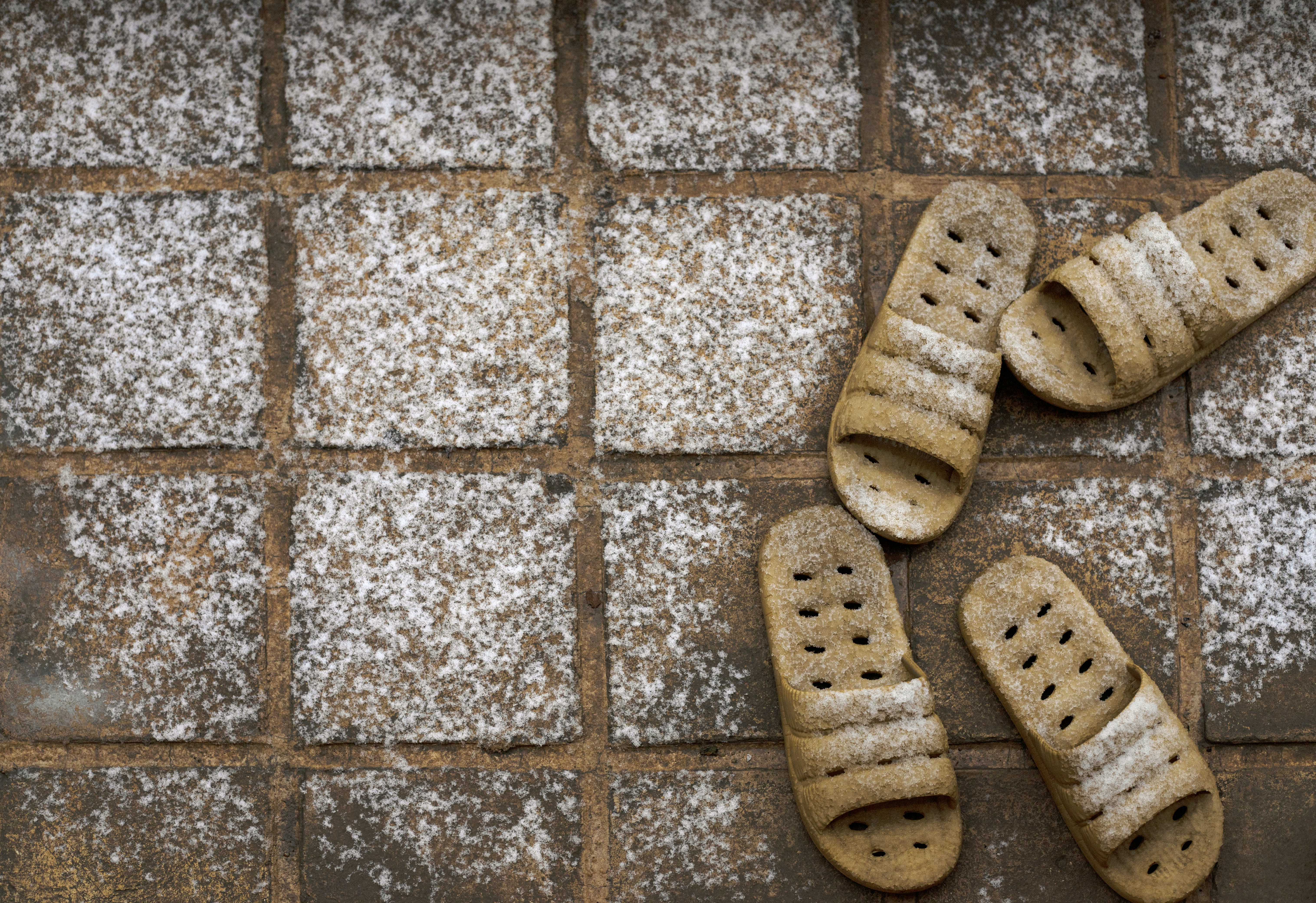 Sugar Dust on Tile Grid: A Quiet Biscuit Portrait