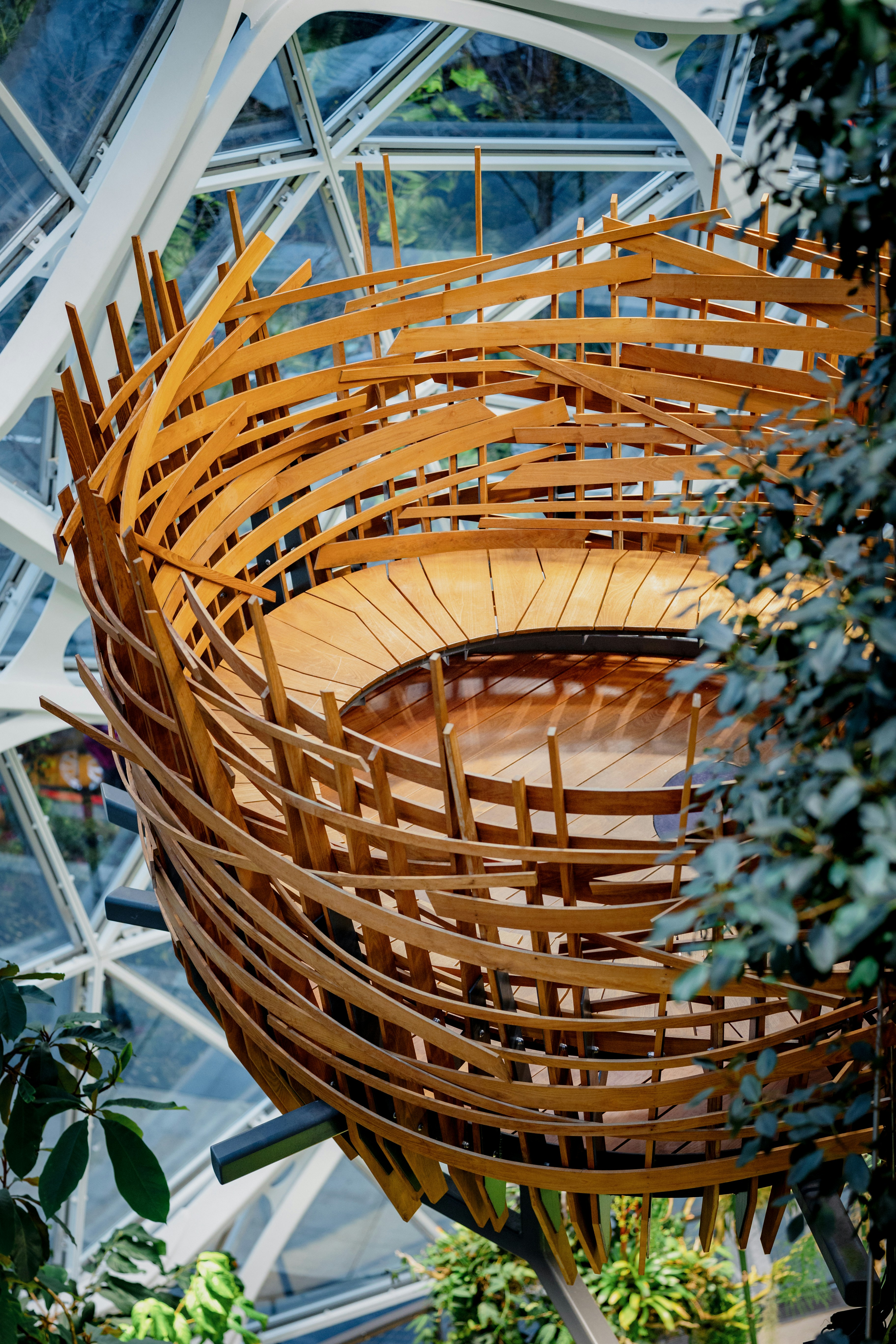Timber Spiral in a Glass Atrium