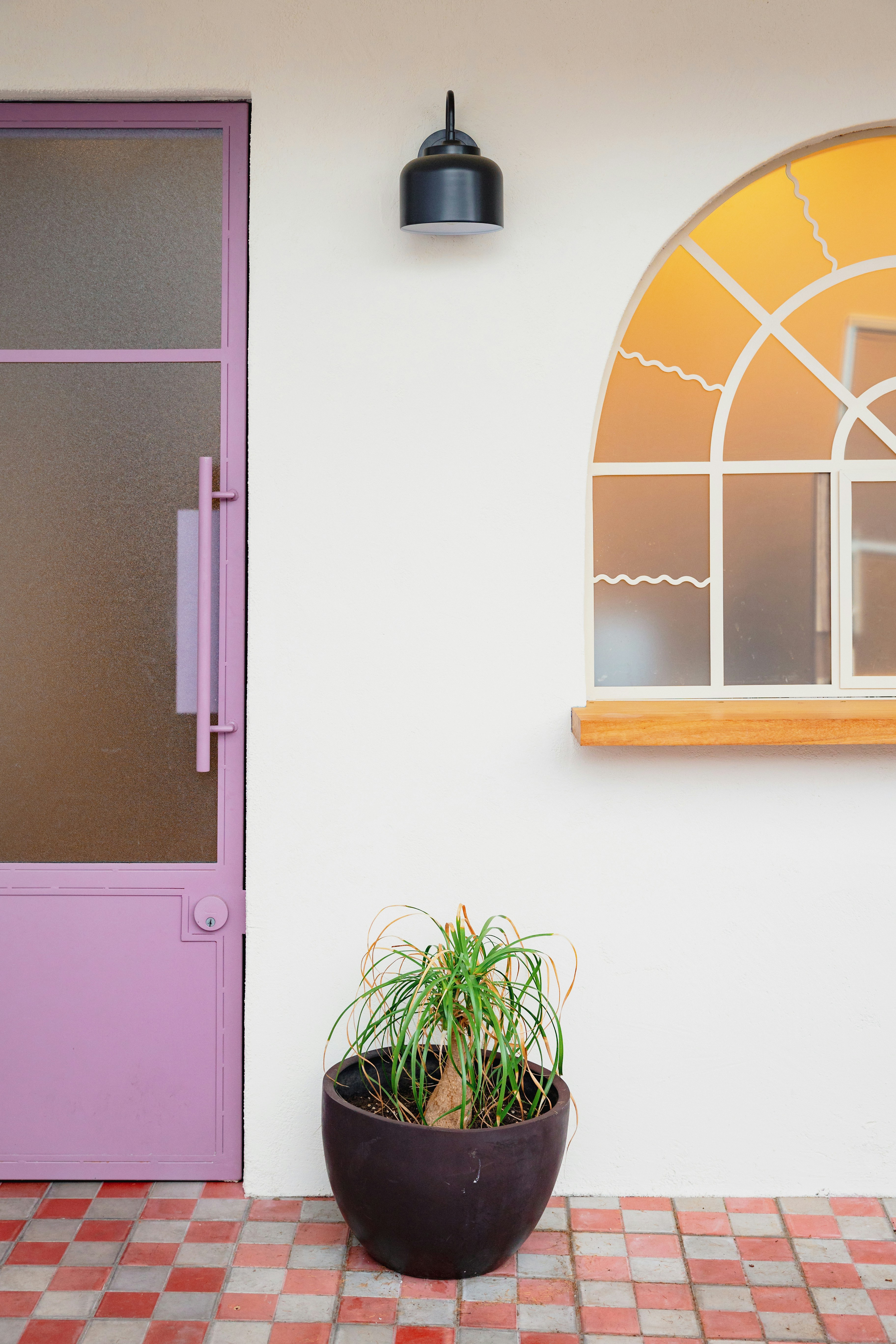 Une plante en pot assise devant une porte violette photo – Photo Plante ...