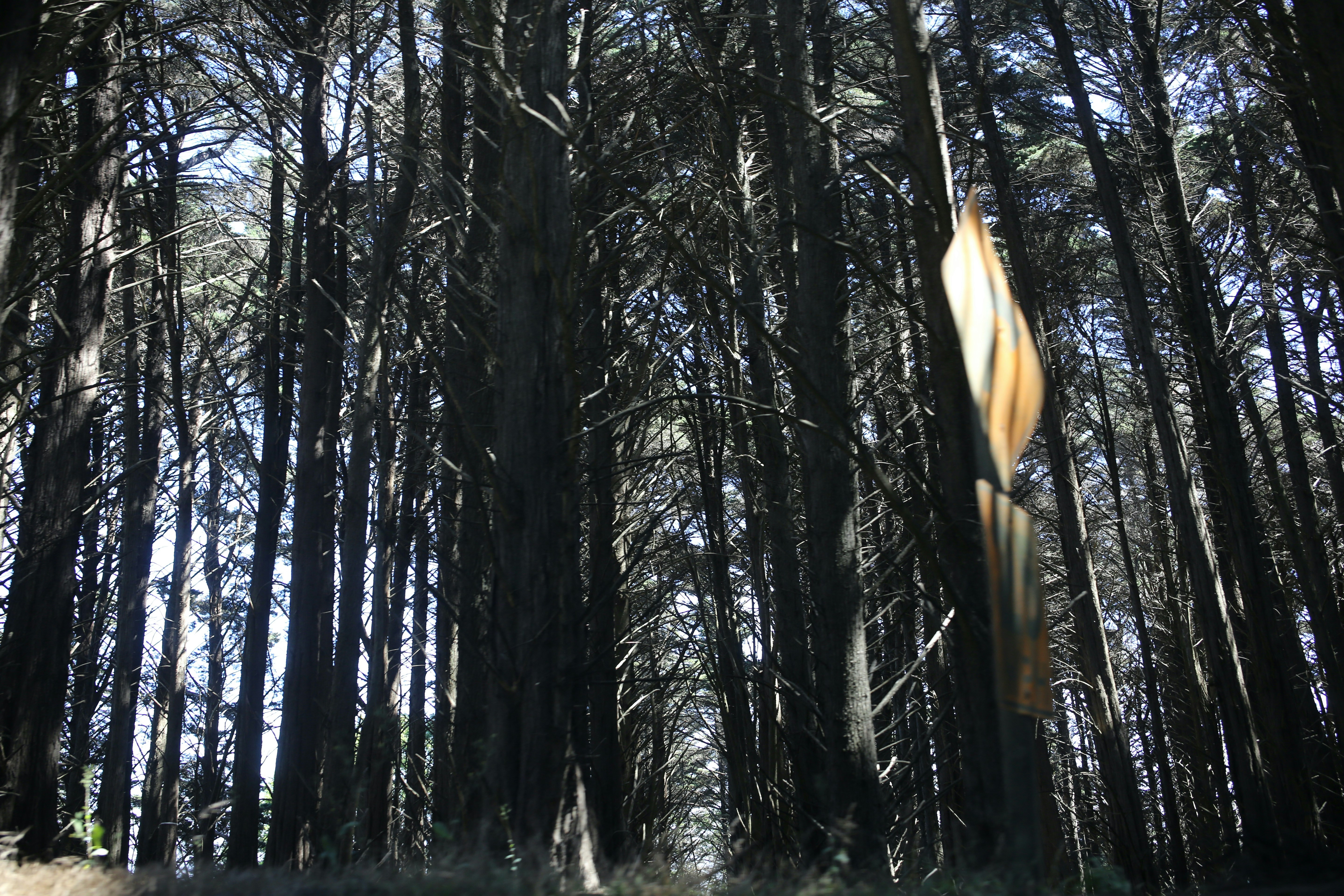 Photo by Sean Thoman with Canon EOS 5D Mark III