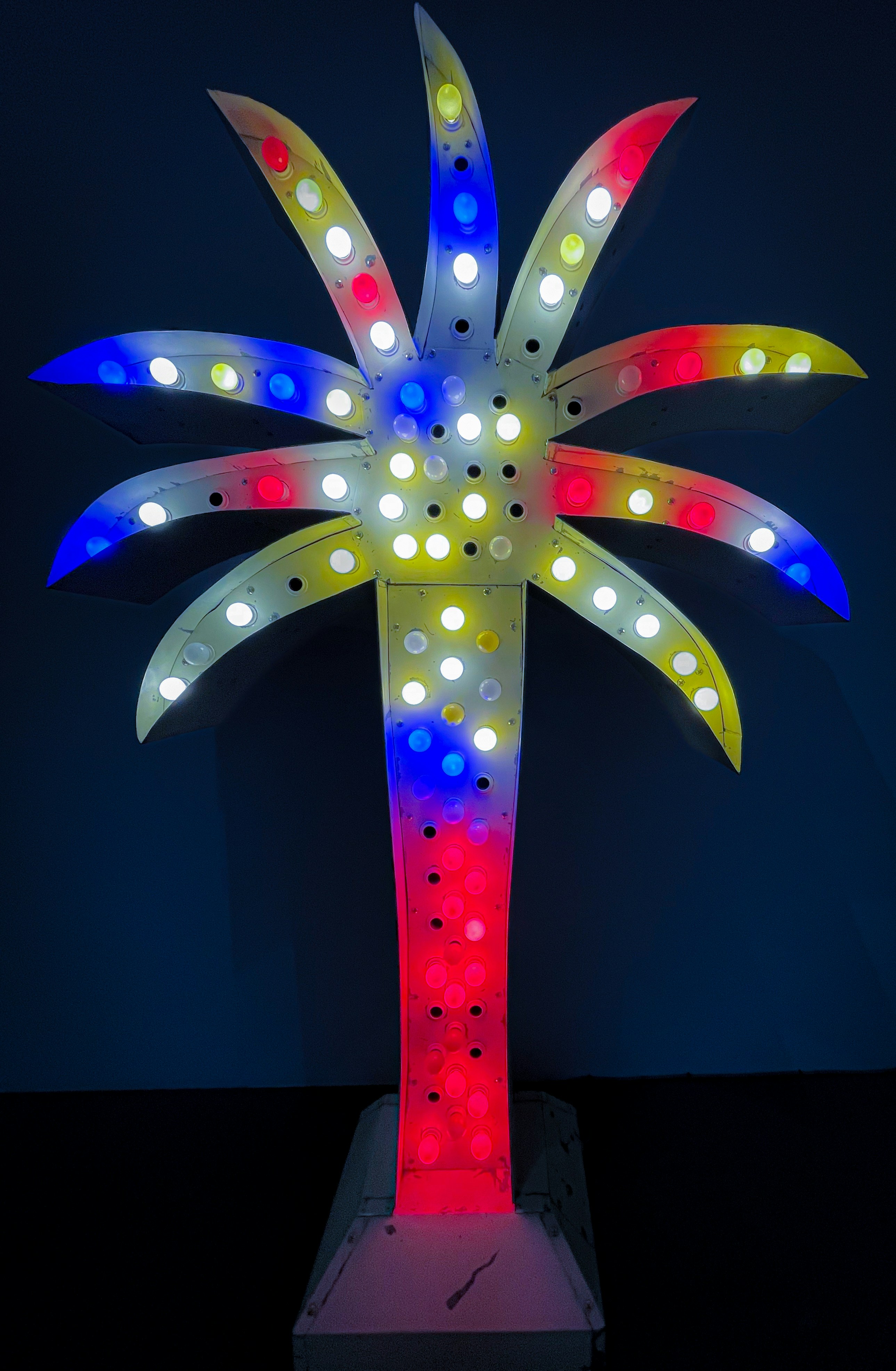 a lighted palm tree in a dark room