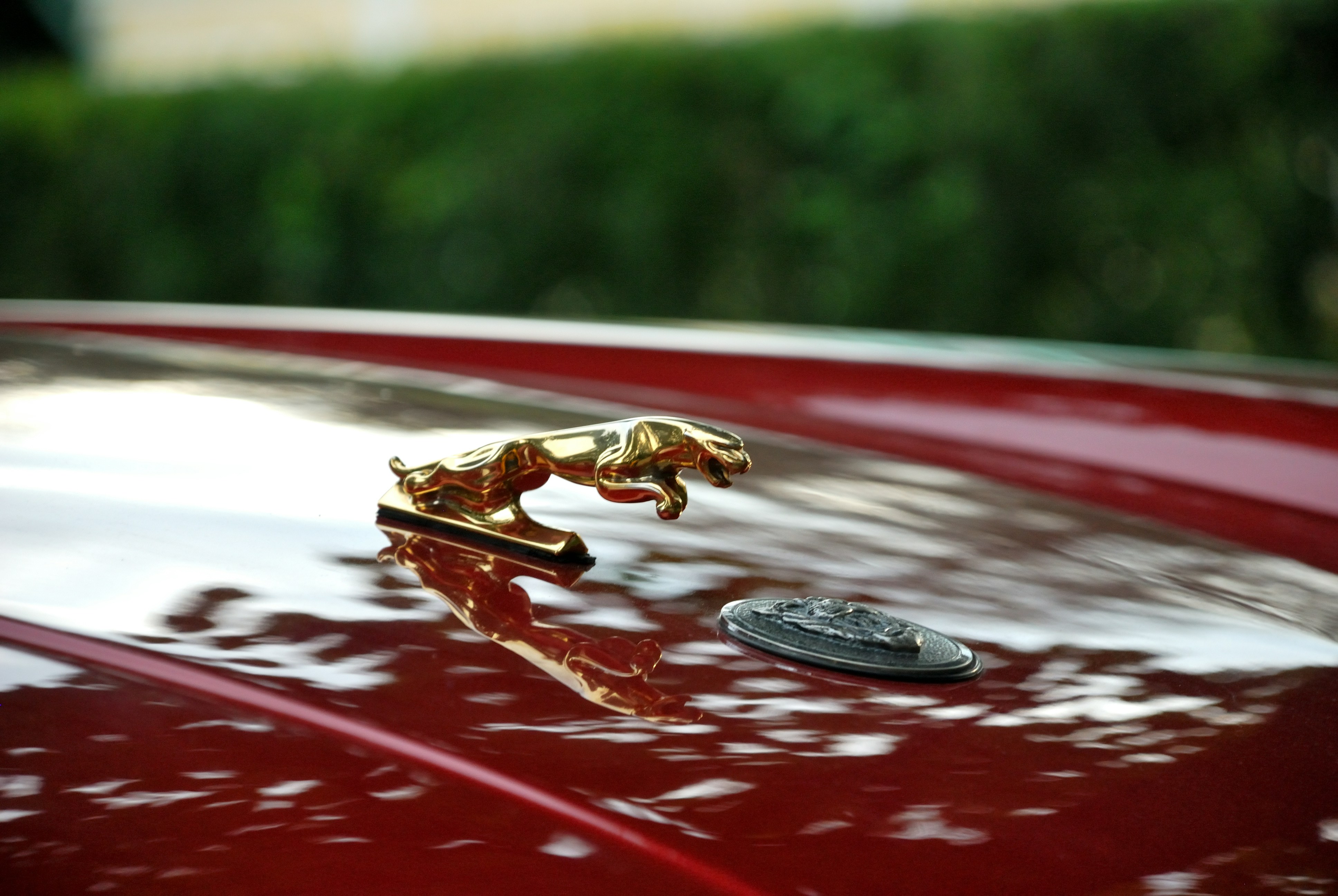 Photo by Anton Pavlov with Nikon D60