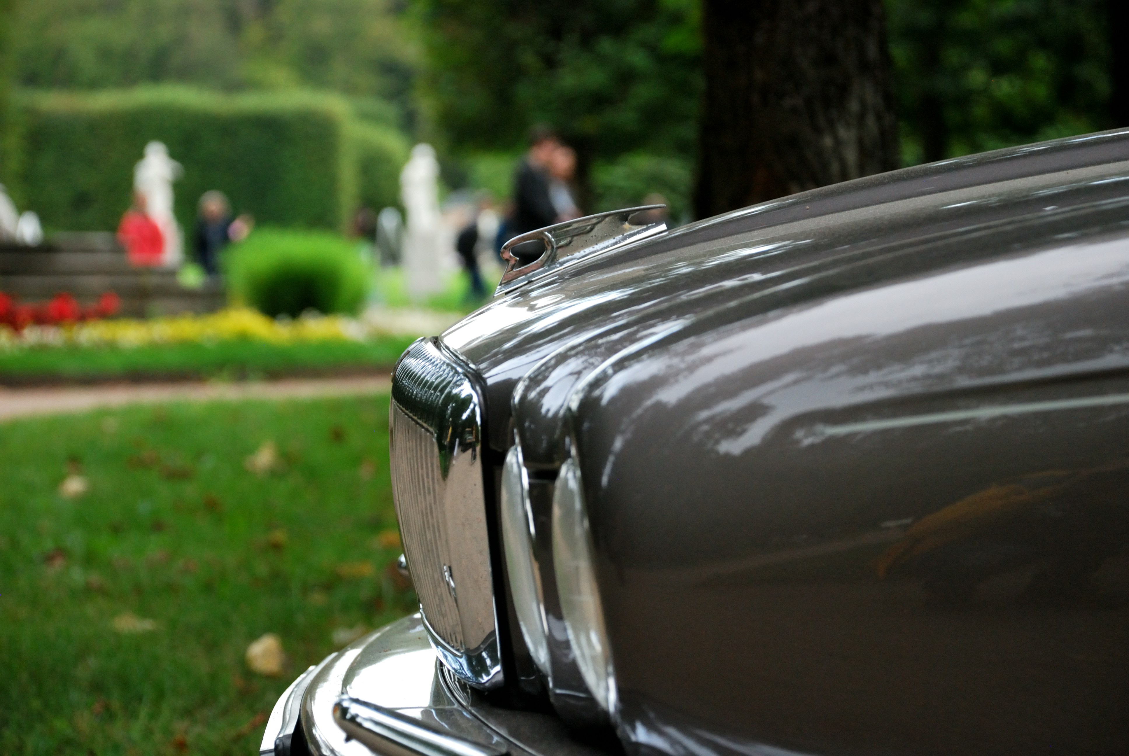 Chrome Grille and Hood: A Classic Car Portrait