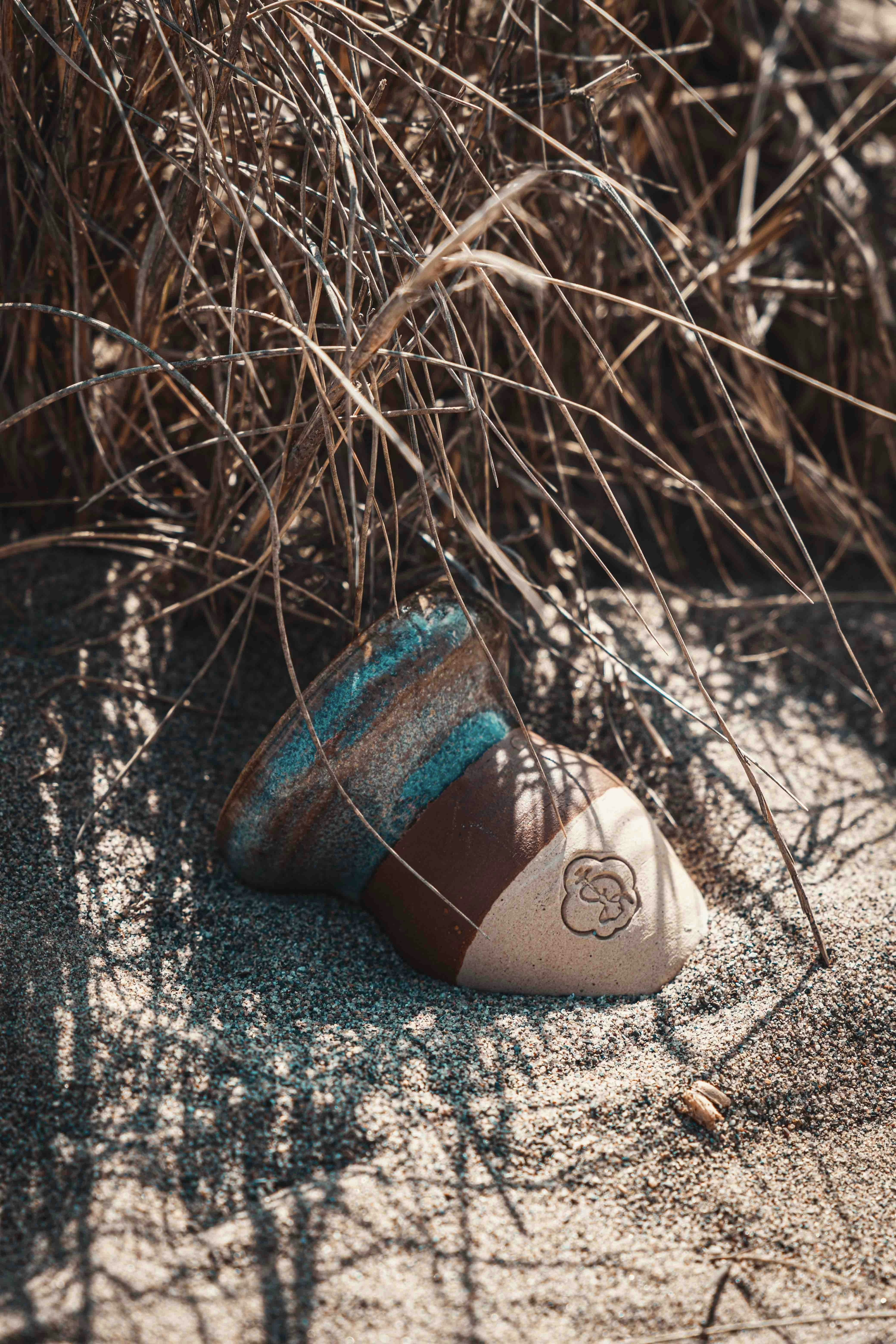 Glazed shell resting on sunlit dune sand beneath tangled grasses