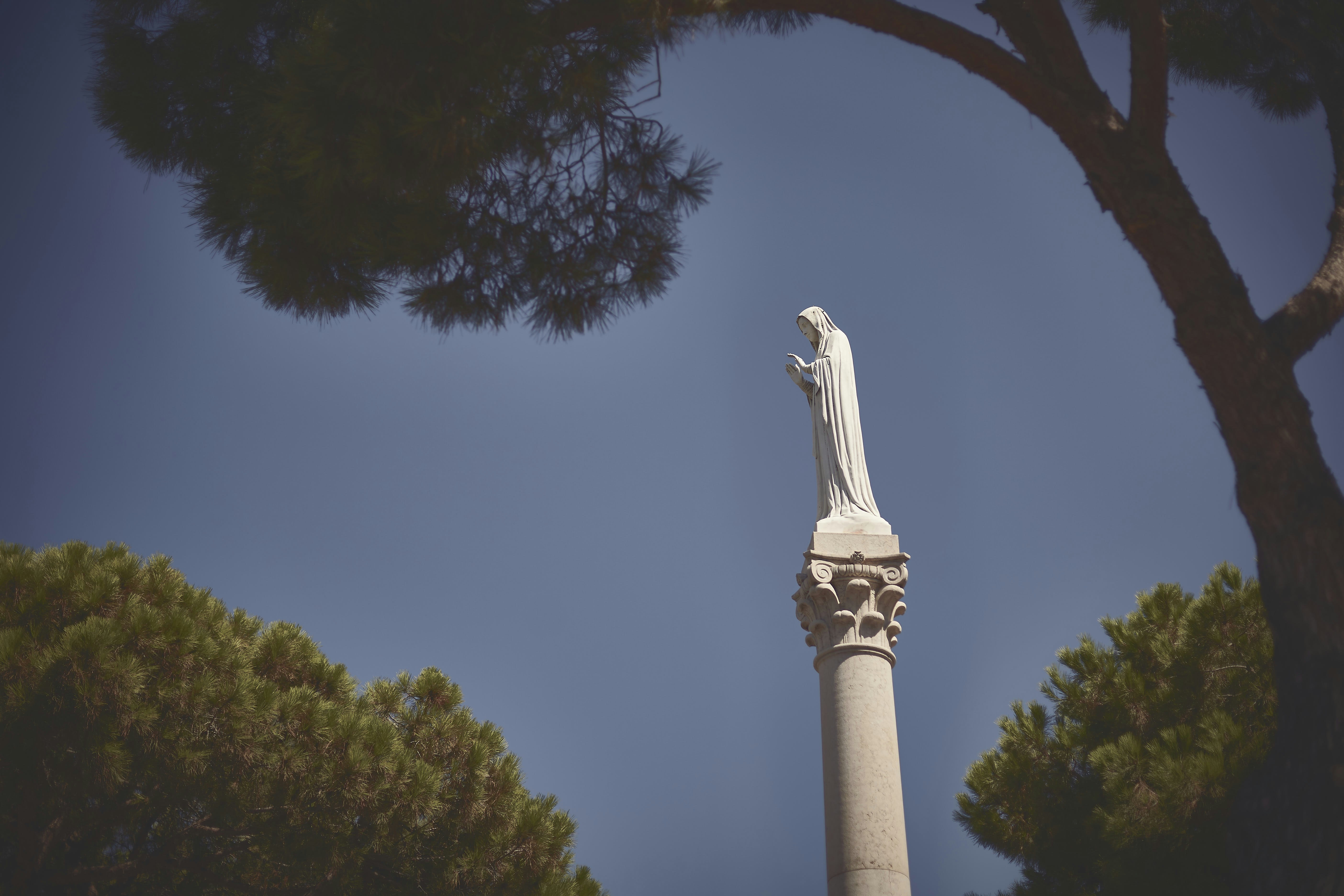 Une statue au sommet d’un pilier dans un parc photo – Photo Arbre ...