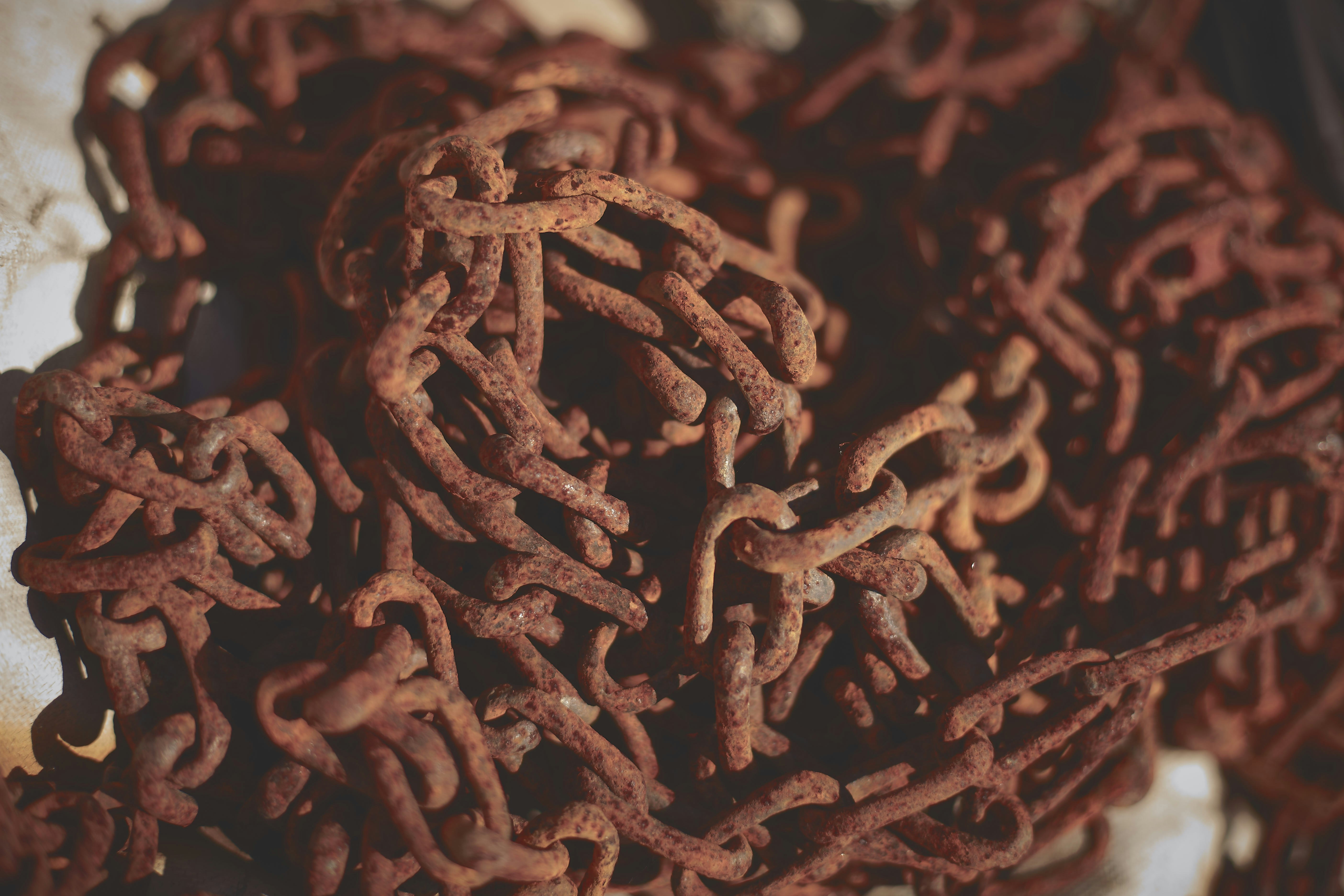 A pile of chocolate covered cookies sitting on top of a table photo ...