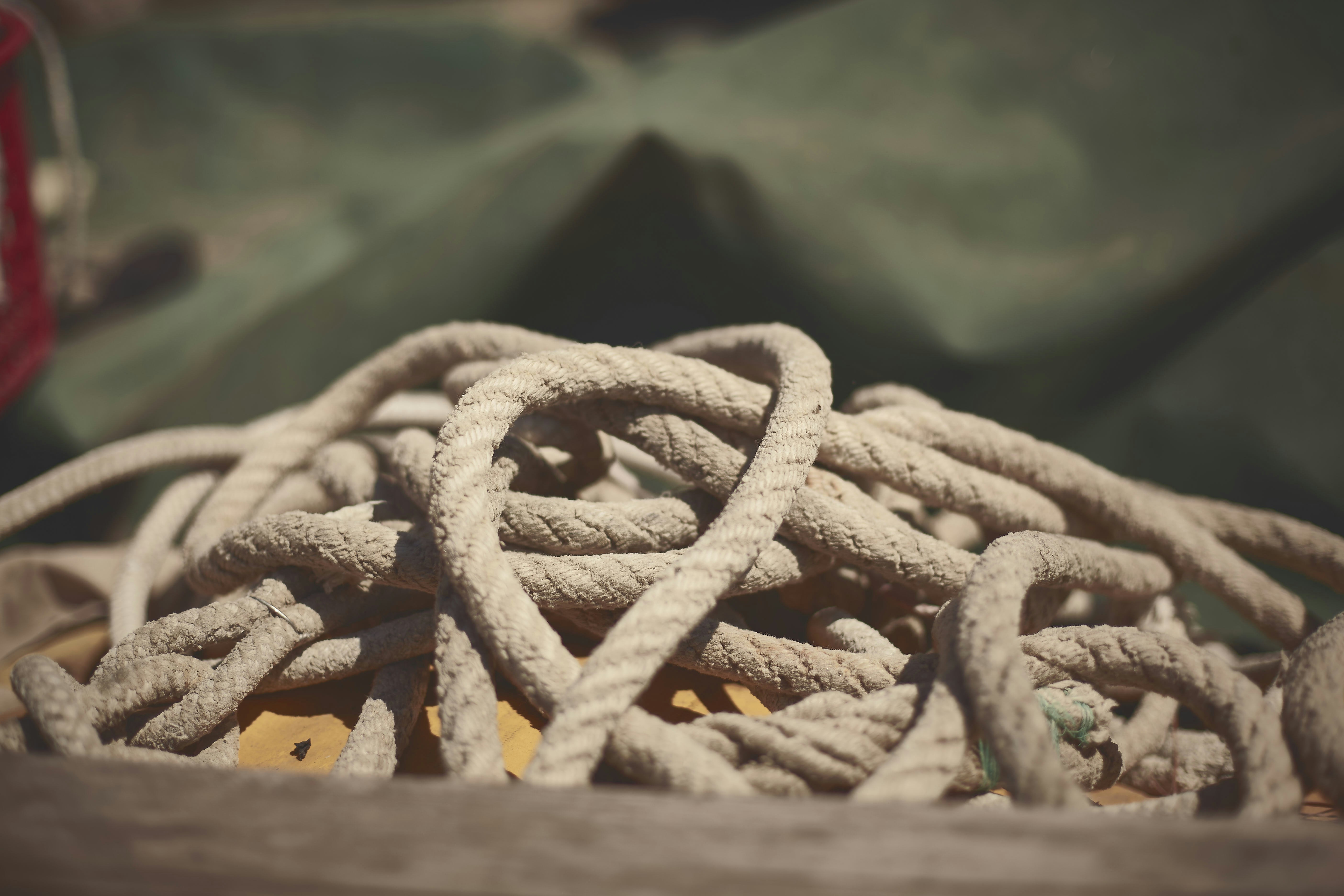 Rope Knots at Close Range: Weathered Mooring Threads on a Wooden Dock