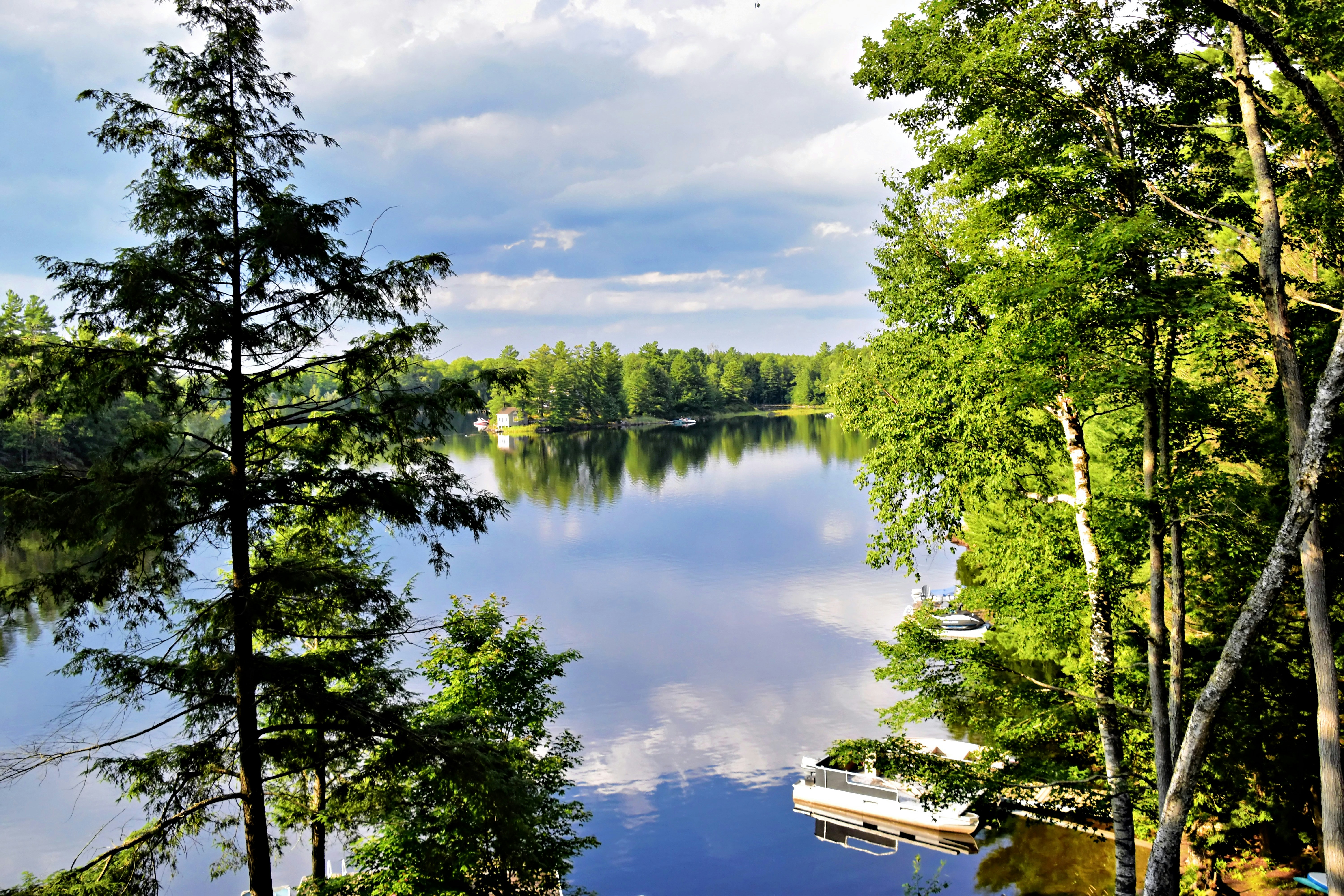 A lake surrounded by trees with a boat in the water photo – Free ...