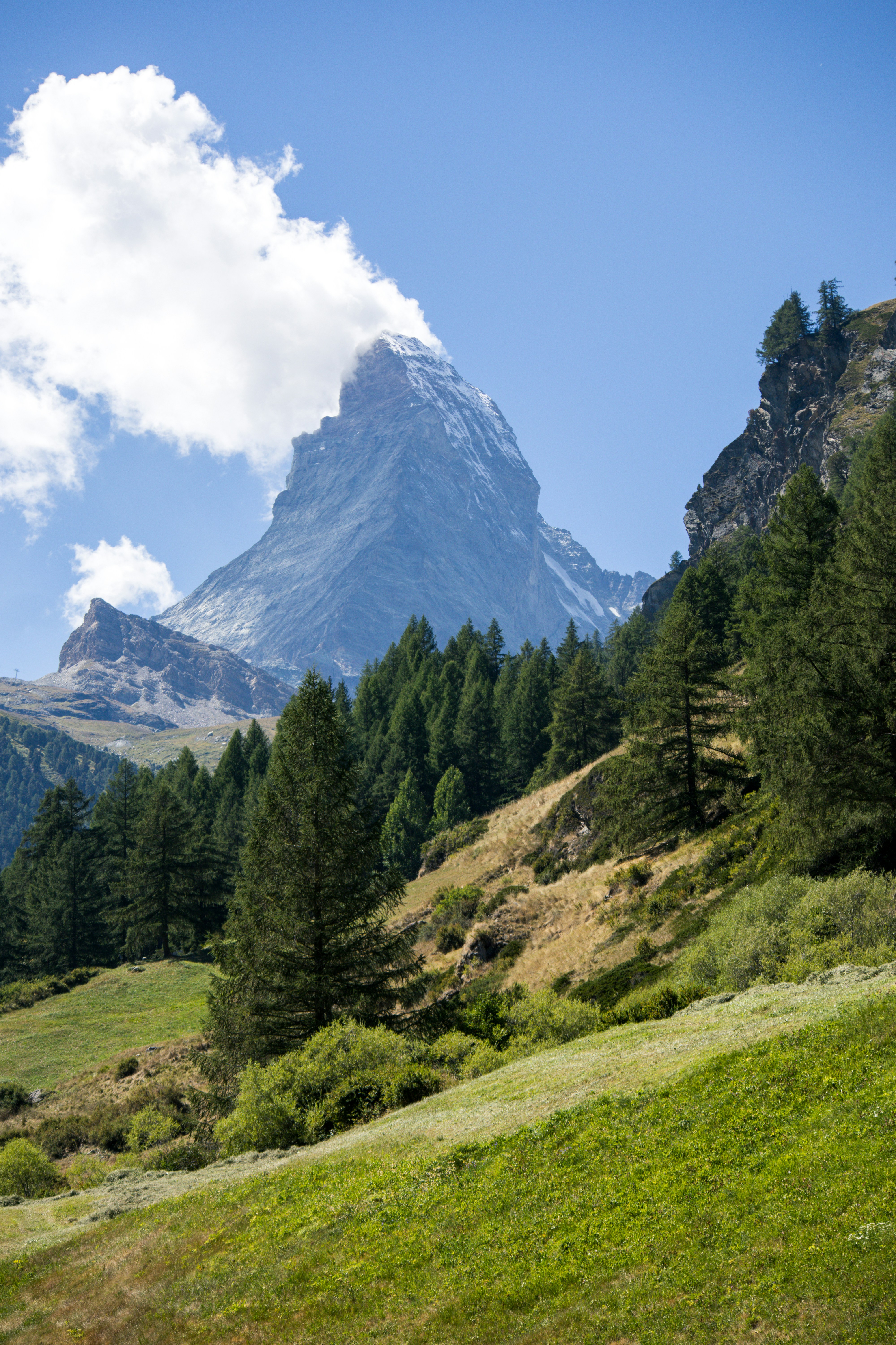 Foto zum Thema Eine Bergkette mit Bäumen und Gras im Vordergrund ...